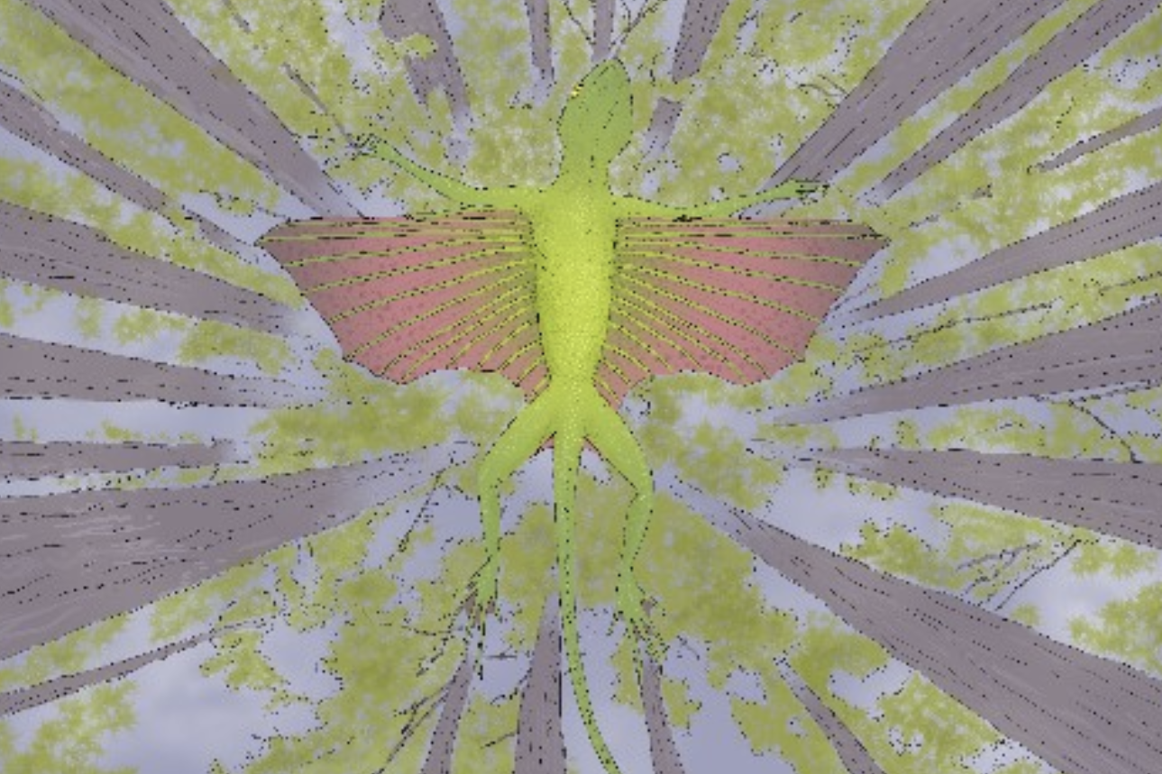 Student Discovers Ancient Flying Reptile That Lived 200 Million Years ...