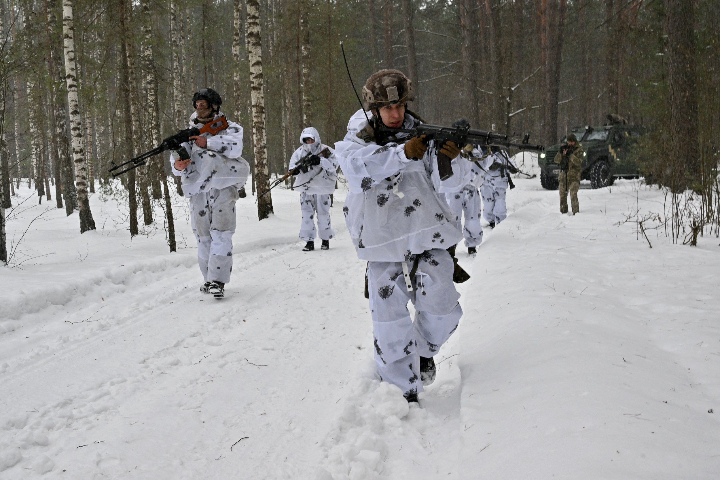 NATO Far Right's Plot for Ukraine Land 'Exactly What Putin Wants ...
