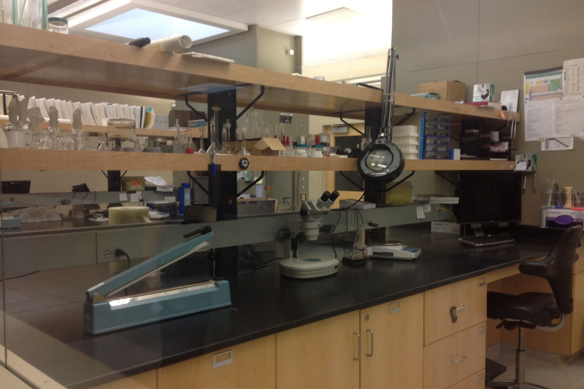 DNA Testing Mistakes May Affect More Than 1,000 Colorado Cases - Newsweek