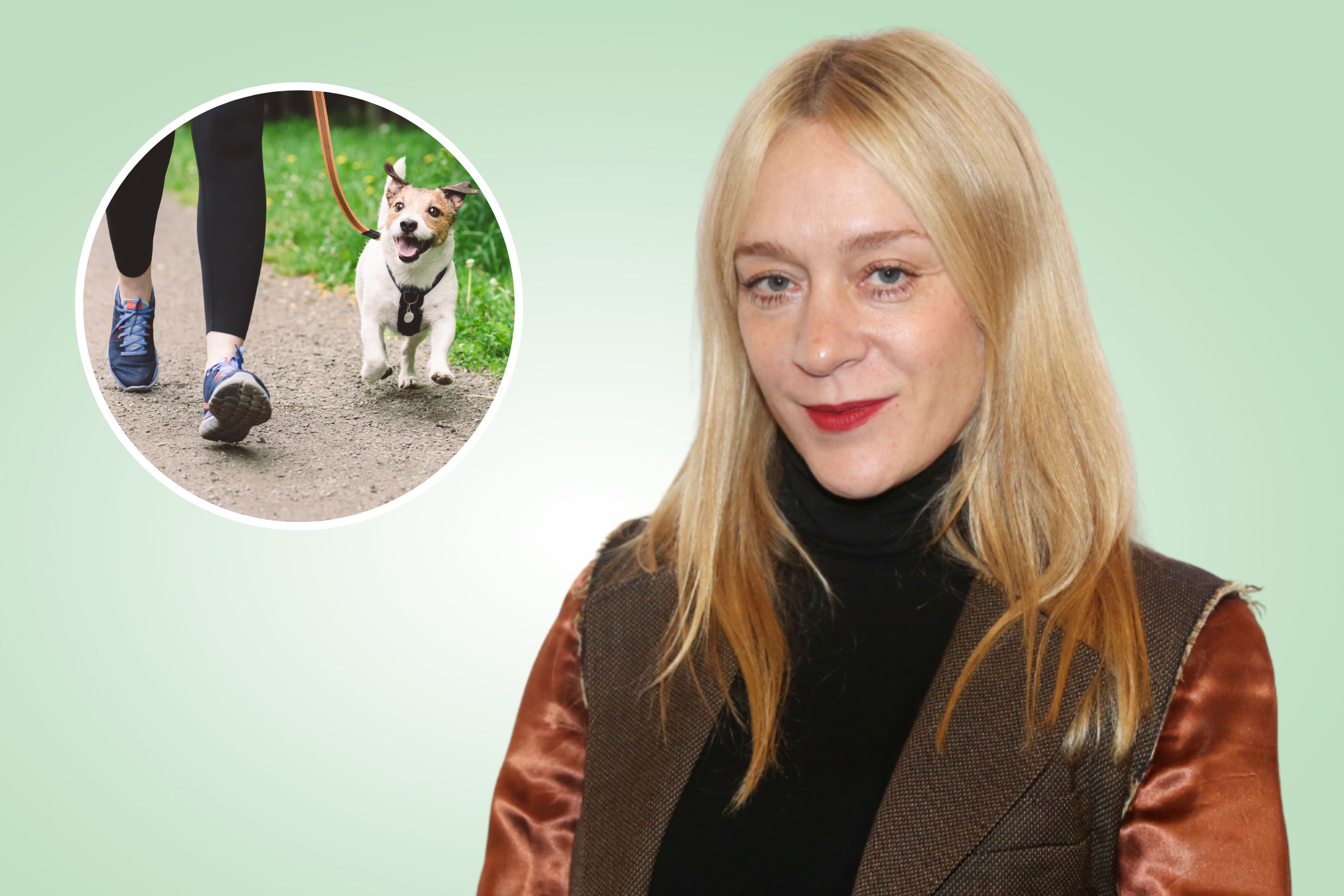 Chloë Sevigny Under Fire Over Dog Comment - Newsweek