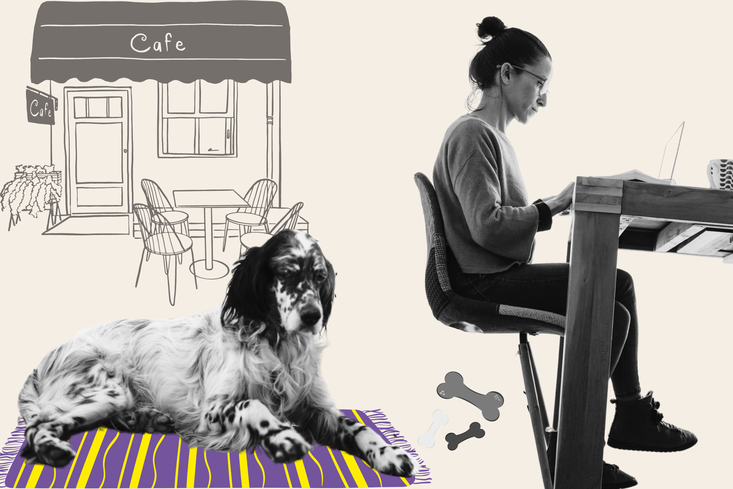 How To Get Your Puppy To Sit Still While in Public, From a Dog Trainer ...