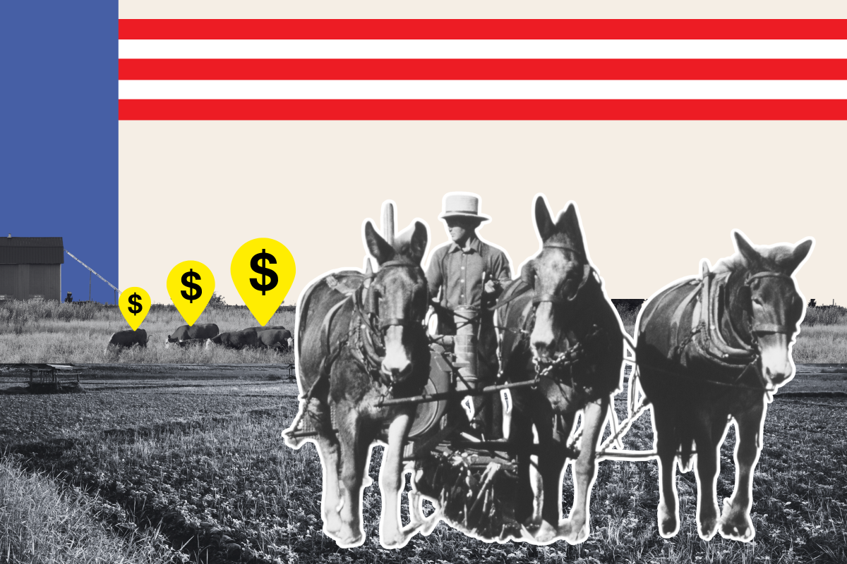 Amish Farmer Turned Republican Hero Becomes Flash Point in Culture War ... Amish Farmer Turned Republican Hero Becomes Flash Point in Culture War ...