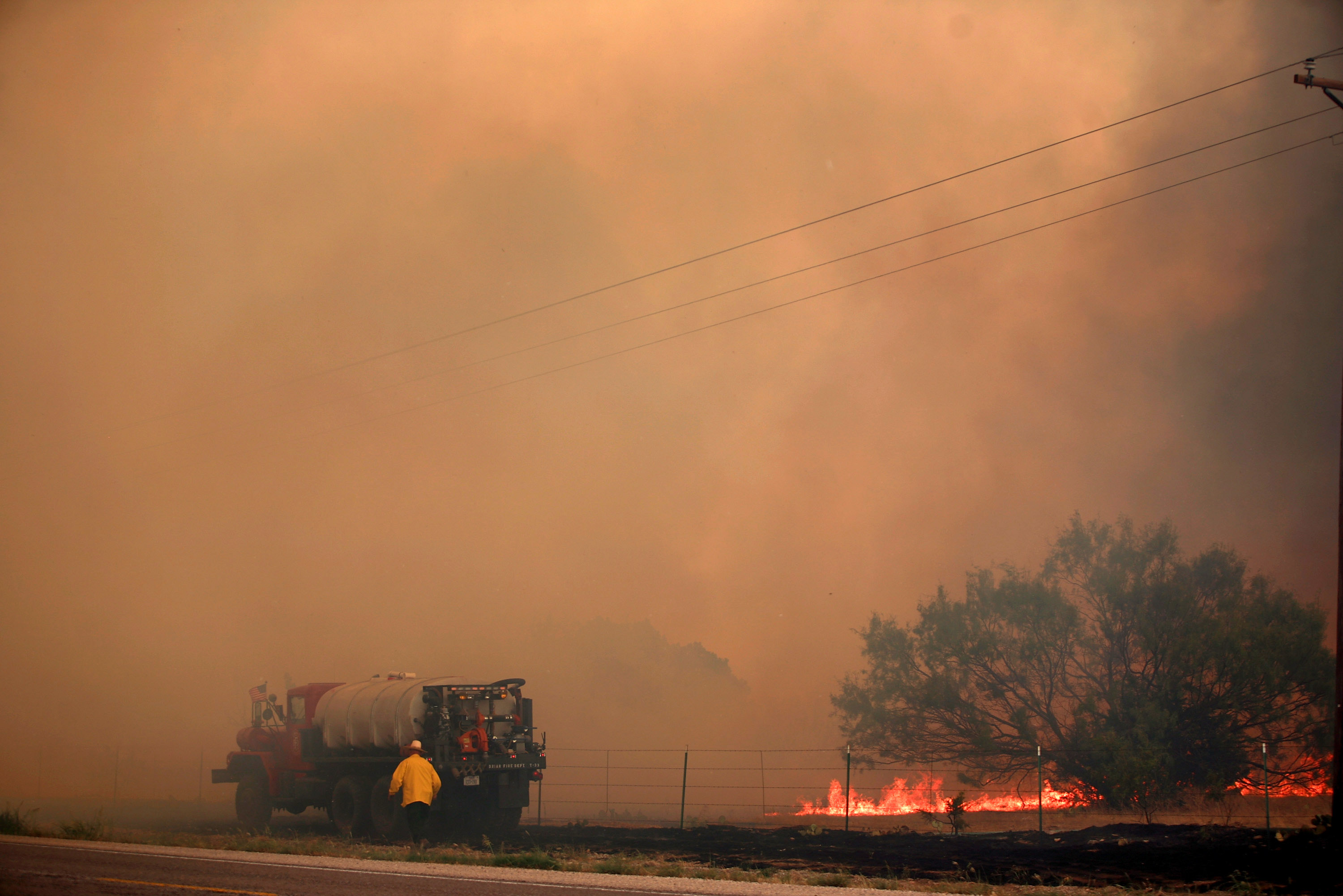 Texas Sees 'Dead Animals Everywhere' as Thousands Die in Fire - Newsweek