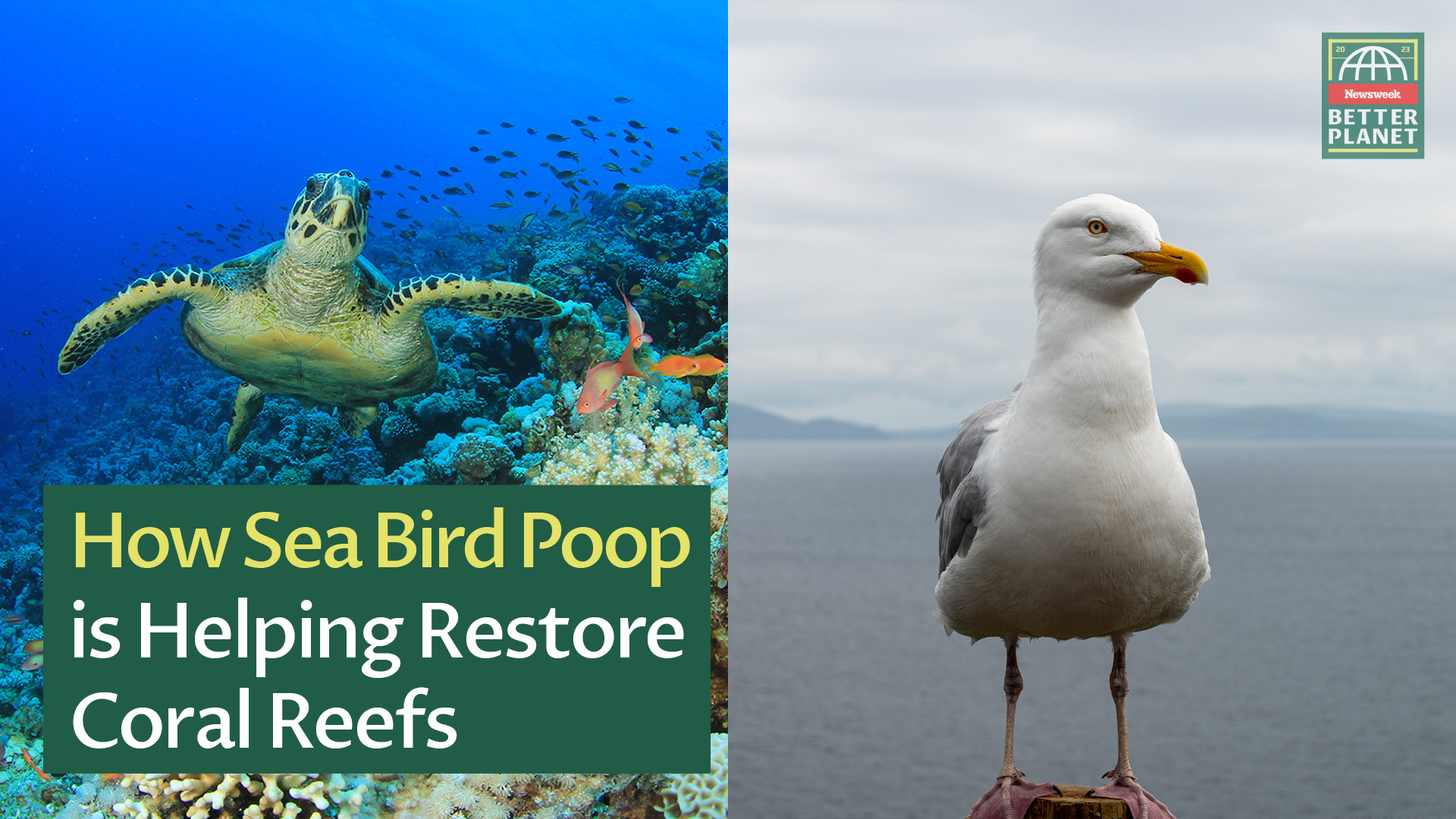 Better Planet - Promoting Environmental Responsibility and Sustainability