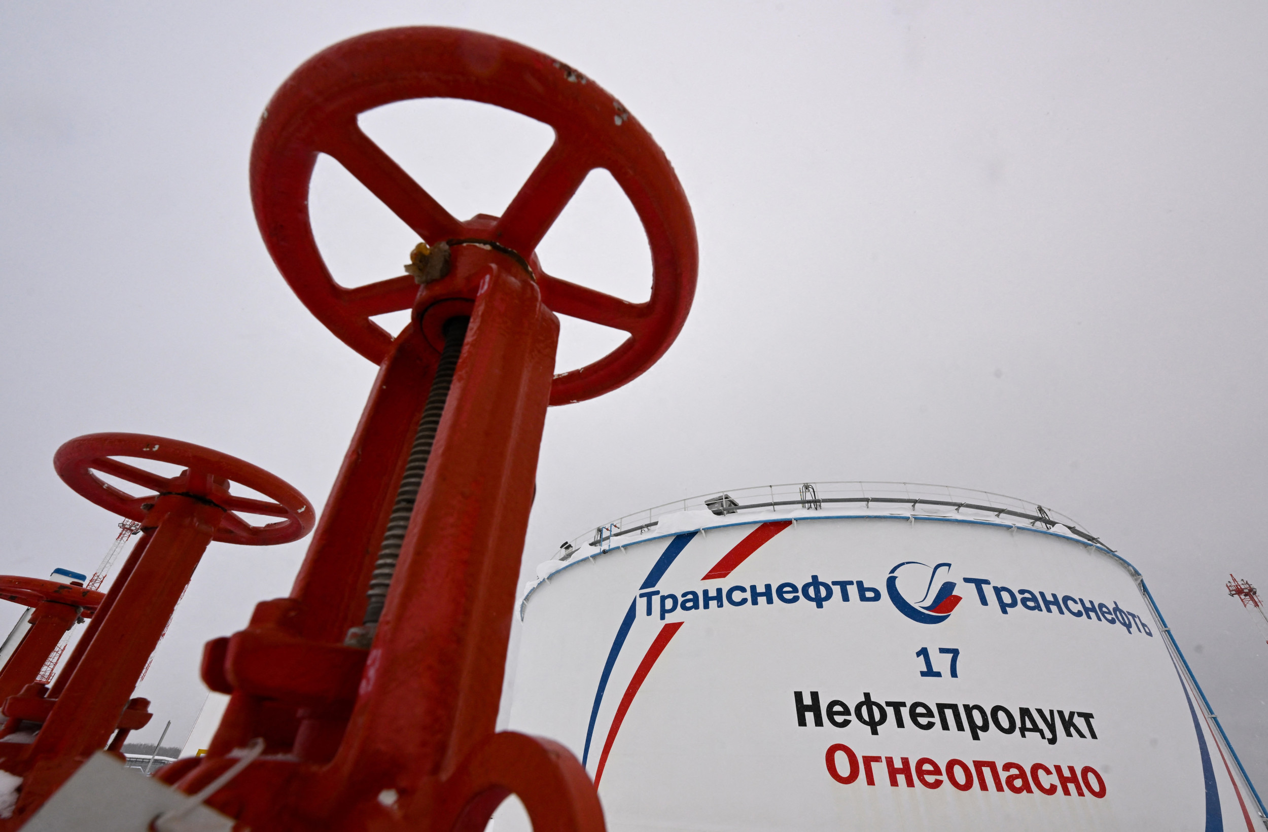 Russia's Top Trade Ally Delivers Surprise Blow to Putin's Fleet - Newsweek