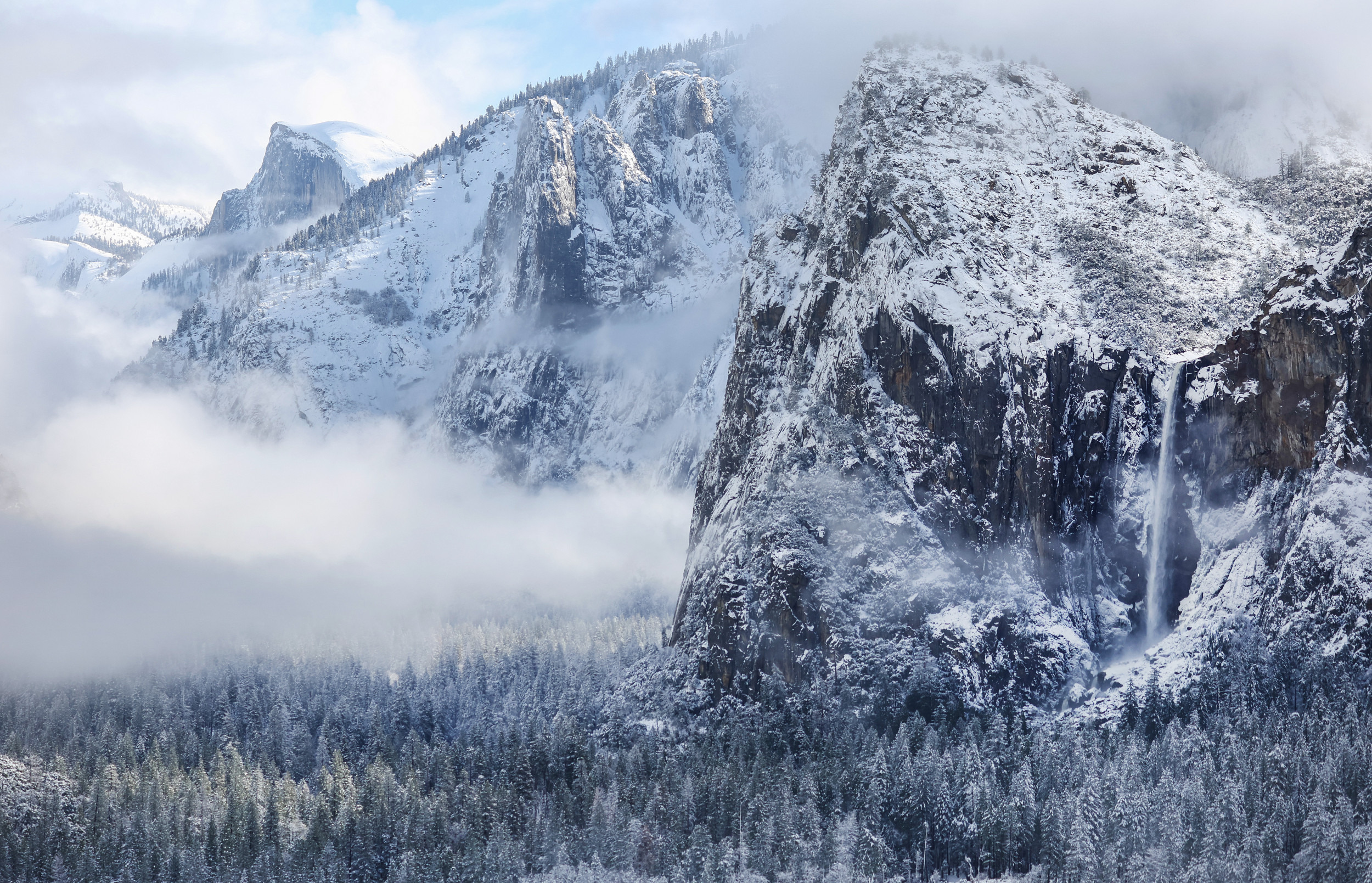 Yosemite Winter Snow Trees 15+ Best Winter Hikes In Yosemite National