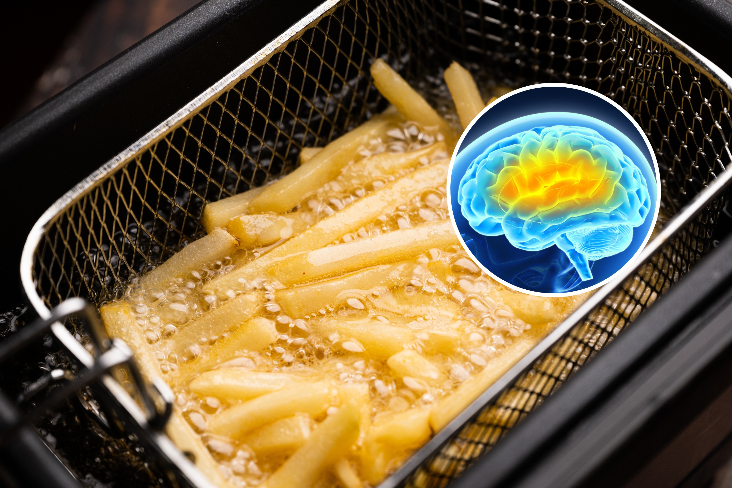 Reused Deep-Frying Oil May Cause Neurodegeneration - Newsweek
