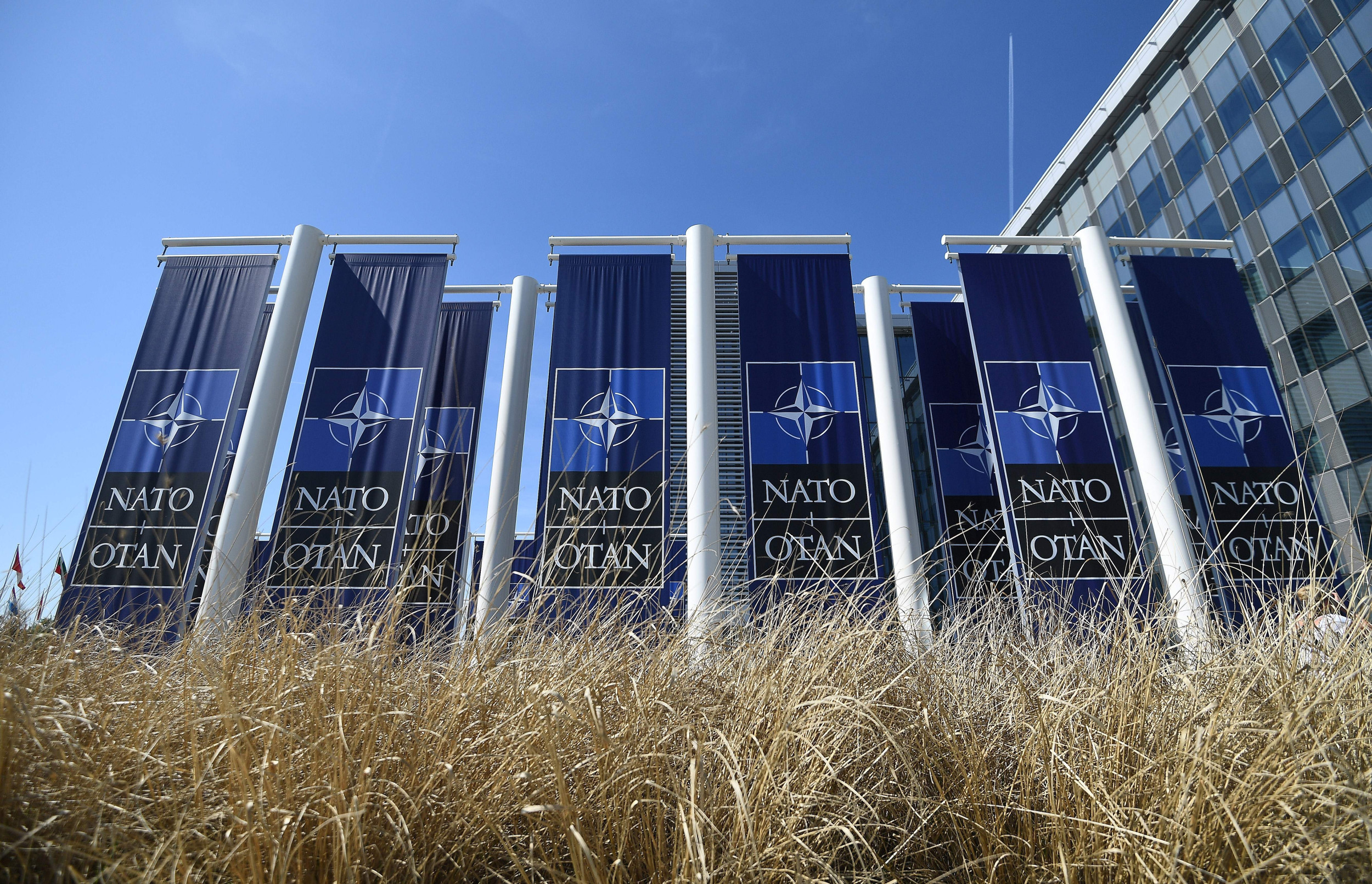 Time-Lapse Map Shows NATO's Expansion Over the Years - Newsweek