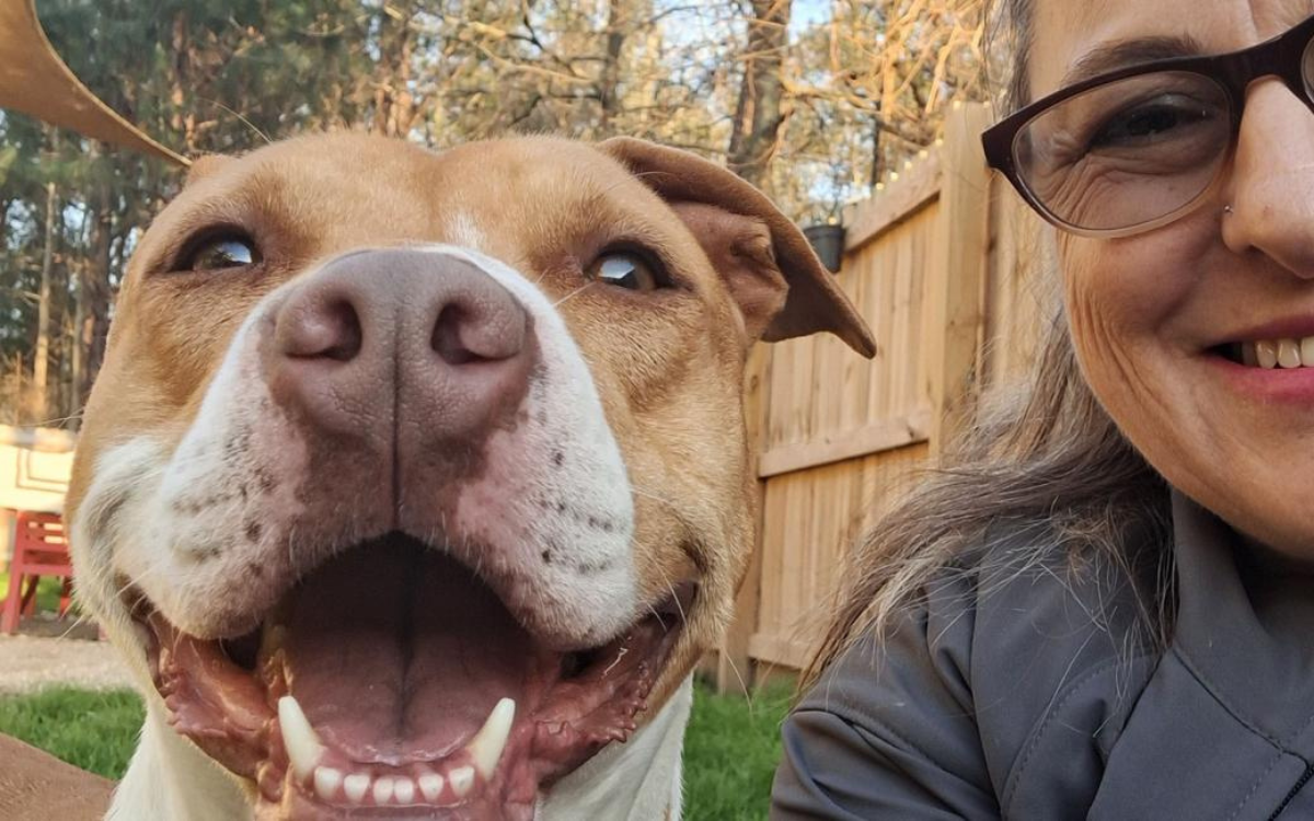 Joy As 29 Dogs Rescued From Dog Fighting Ring Get Second Chance at Life ...