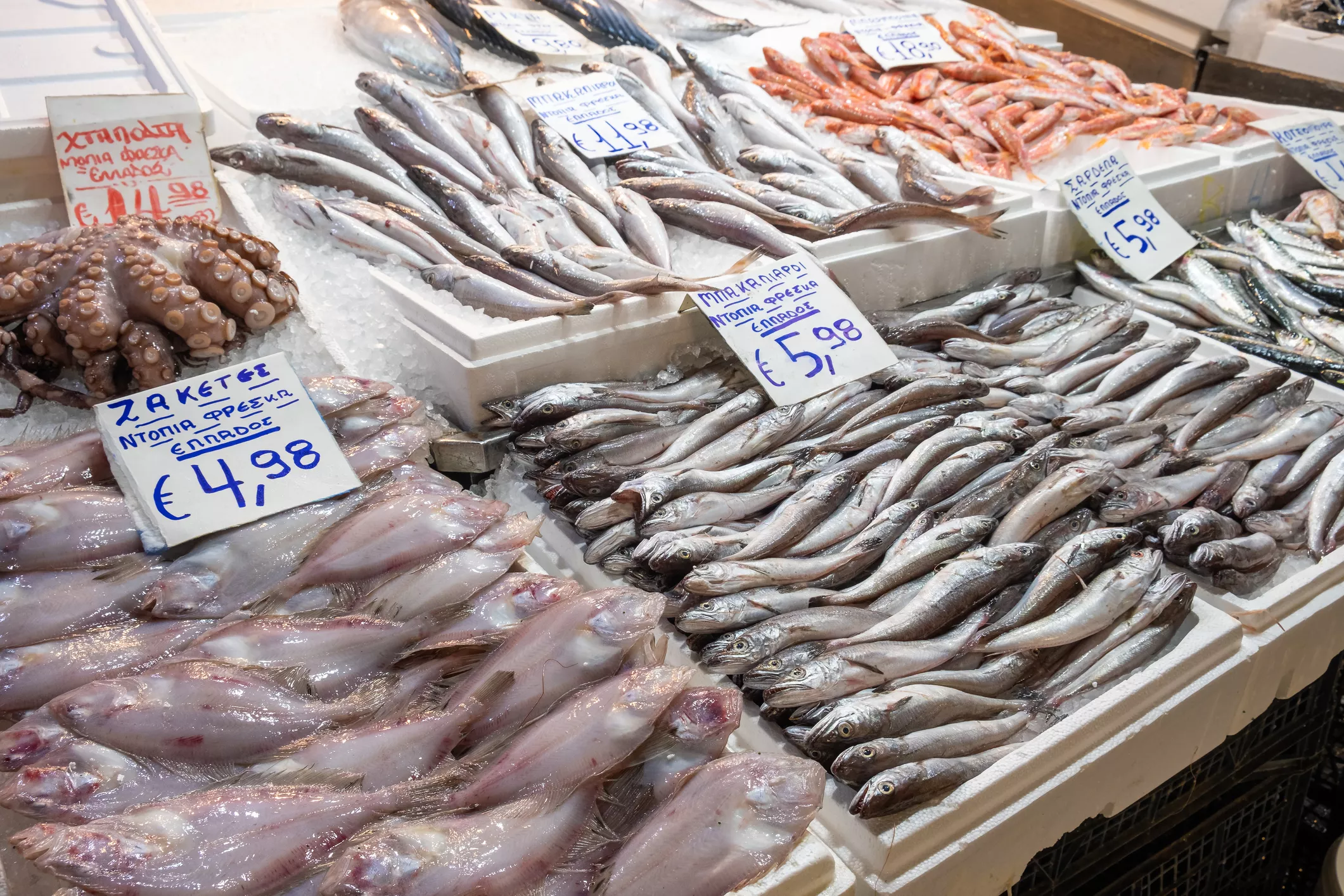 fish-market.webp?w=1600&h=900&q=88&f=88d32278a757f5c82252cee0ffc1f640