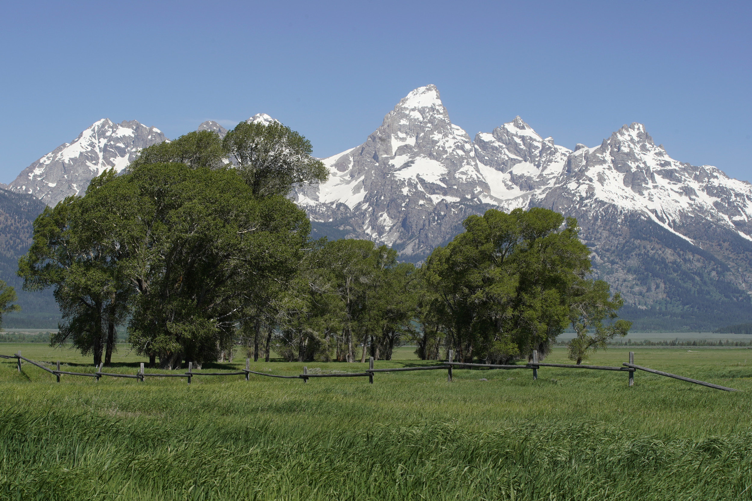 These 3 States Are the Most Behind on Their Bills - Newsweek