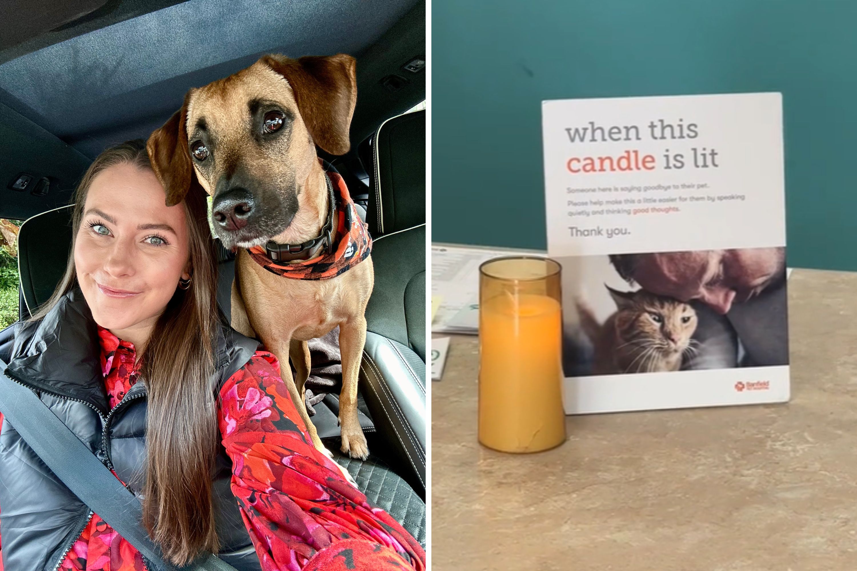 Why Burning Candle at Vet Has Woman in Tears: 'Worst Day of Someone's ...