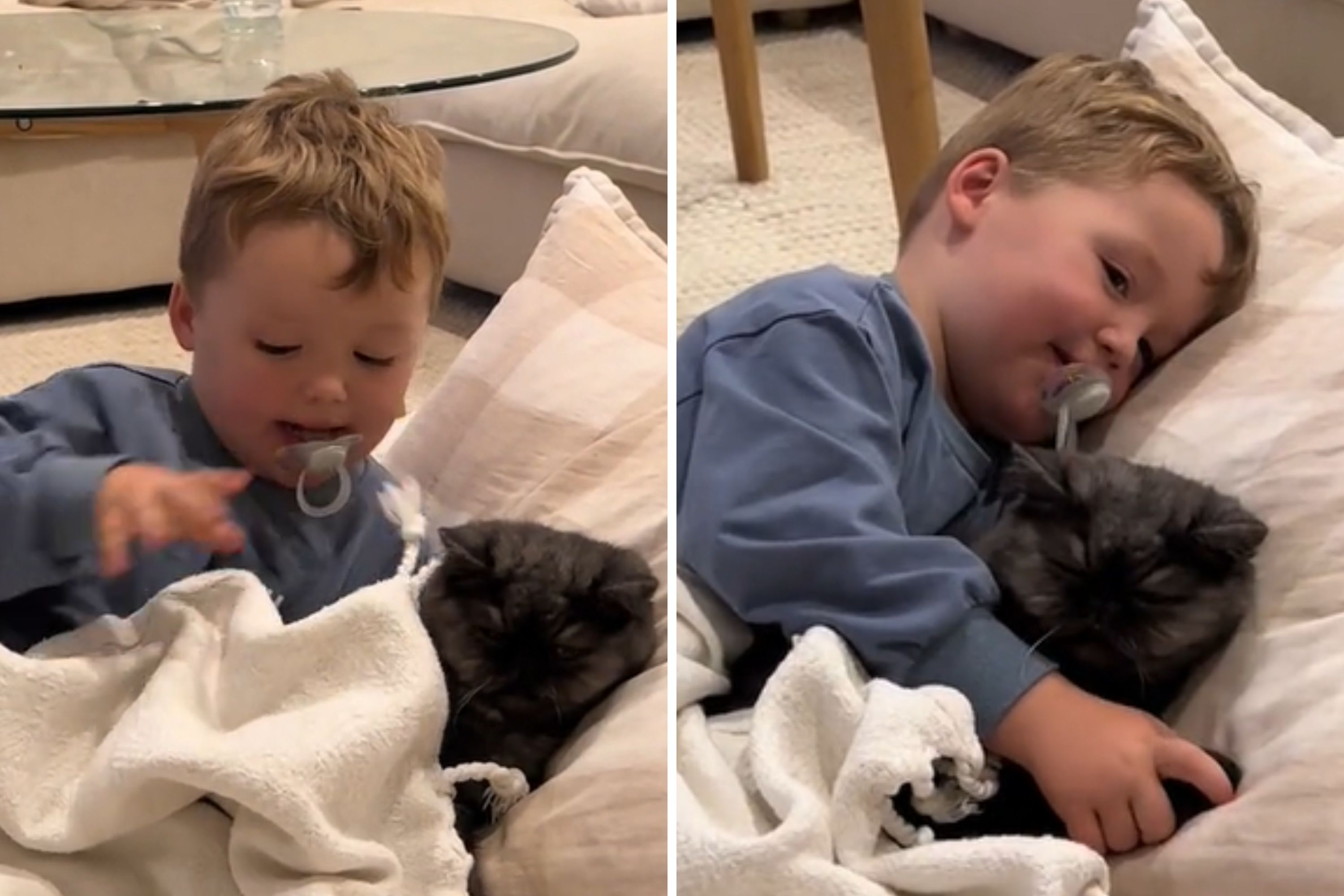 Toddler Adorably Tucks Cat in Next to Him for 'Bedtime Snuggles' - Newsweek
