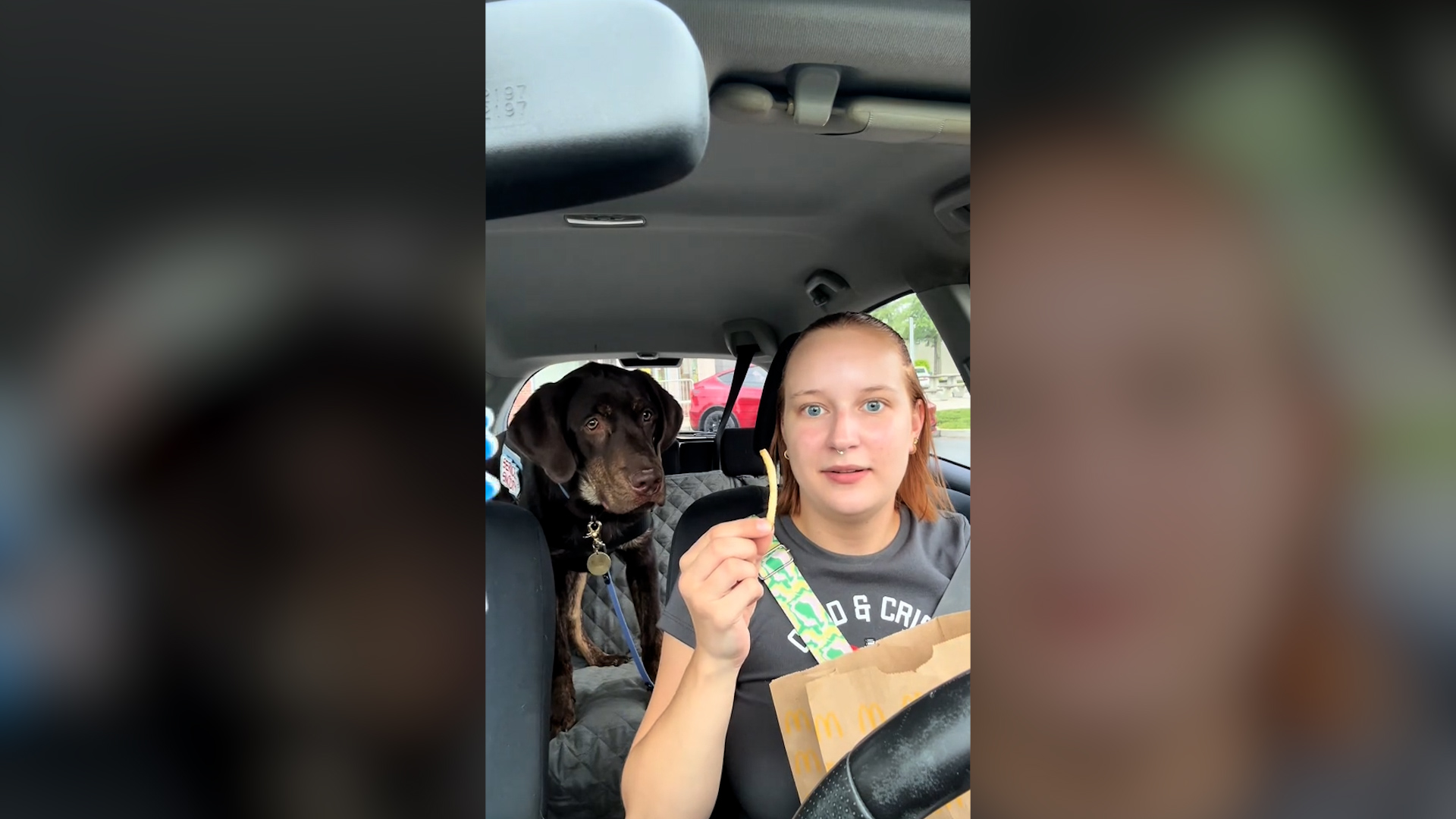 Service Dog Realizing He's Getting Fries Delights Internet: 'The Face ...