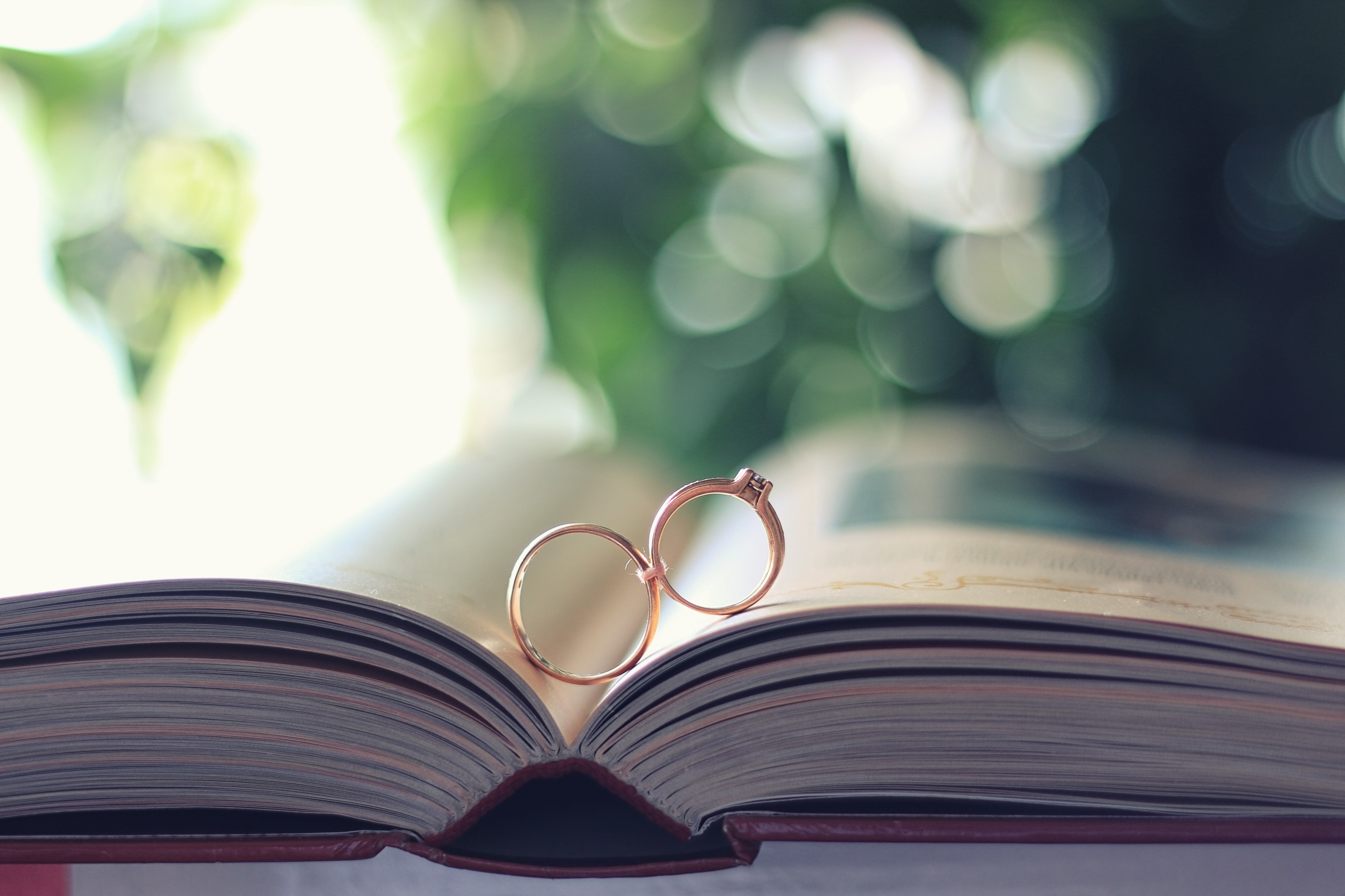 Hearts Melt at Book-Lover's Intricate Engagement: 'Best Proposal Ever ...