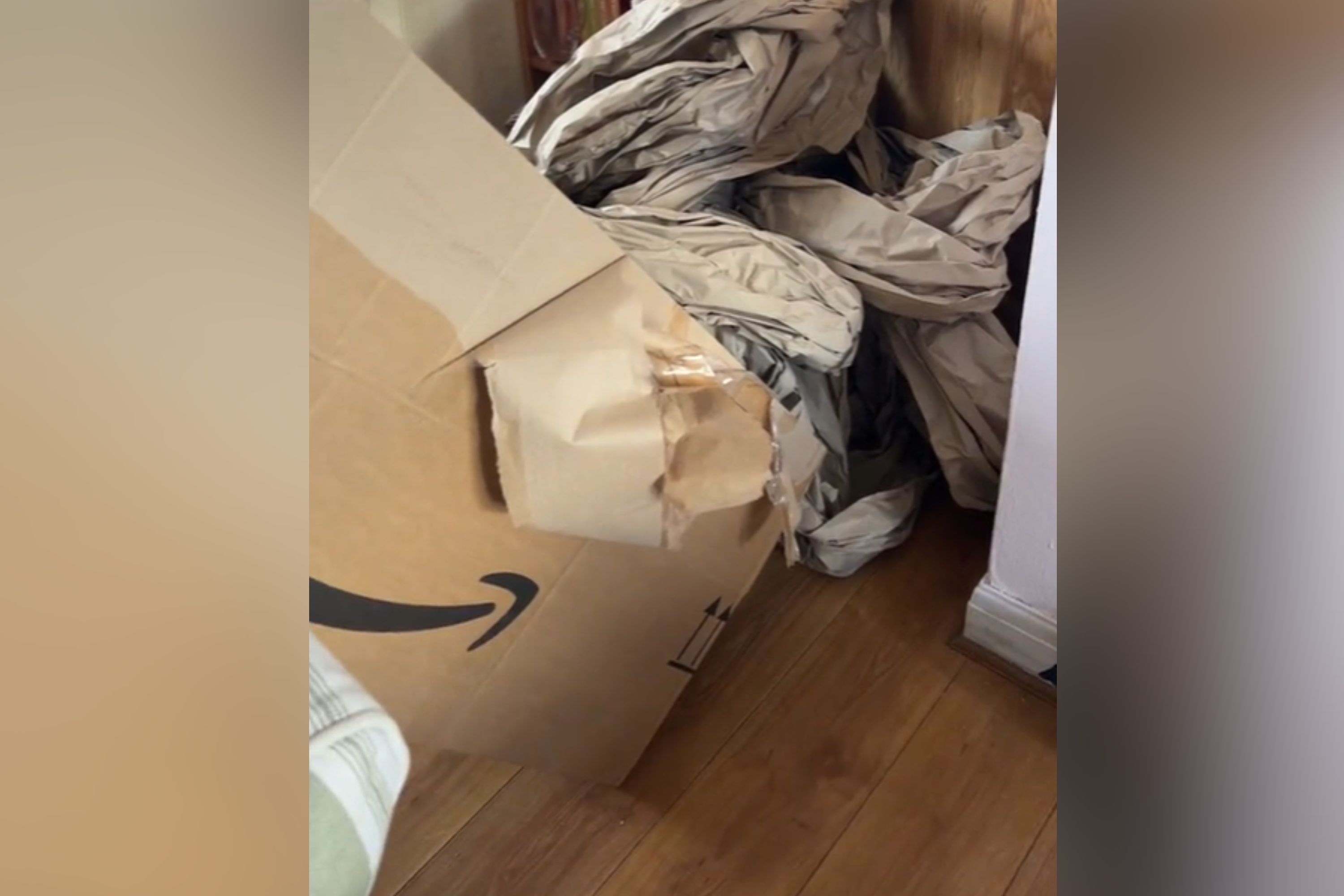 Woman Can't Cope With How Amazon Delivers Parcel—'Lost the Plot ...