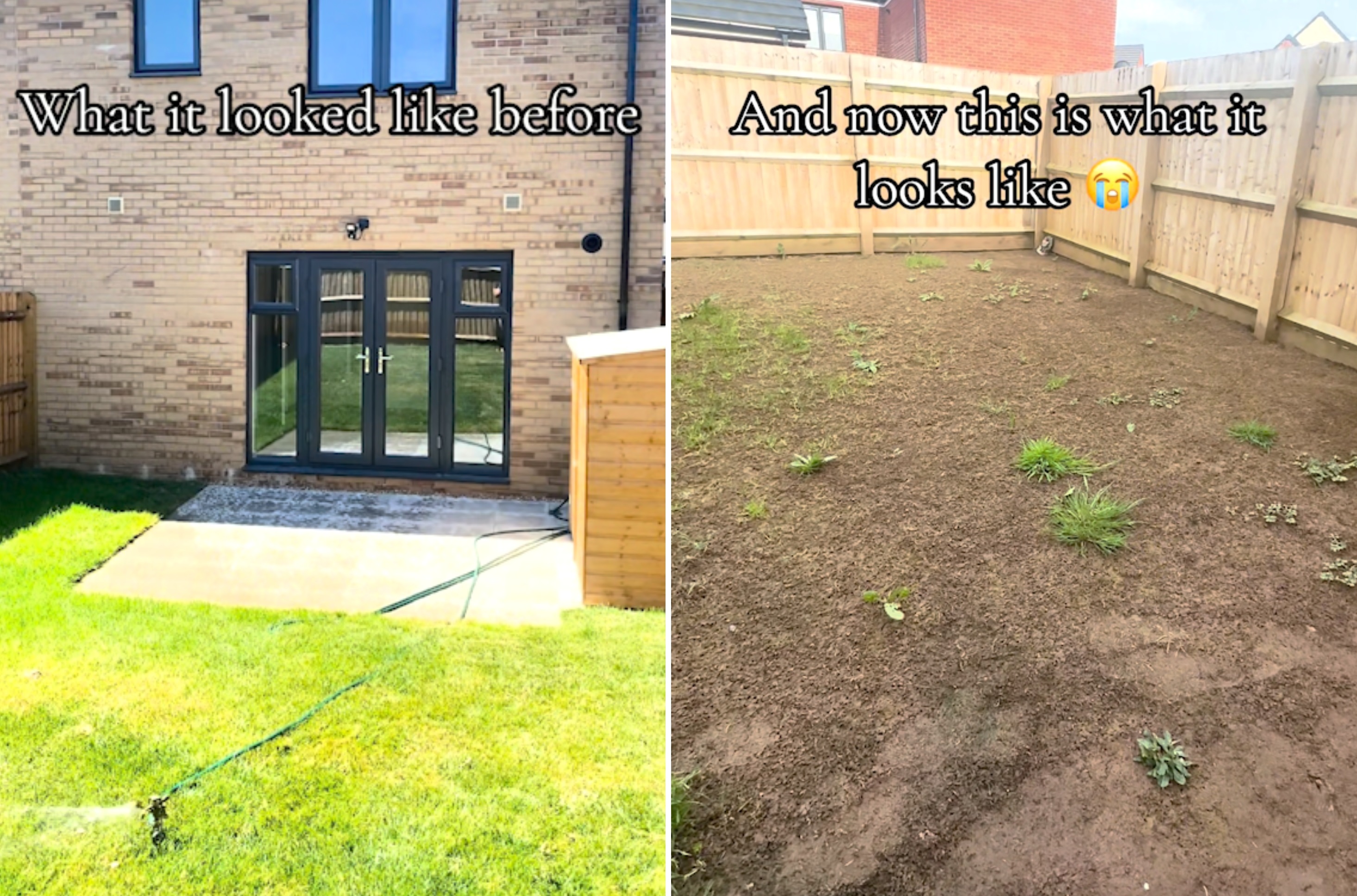 Yard Damage Before And After