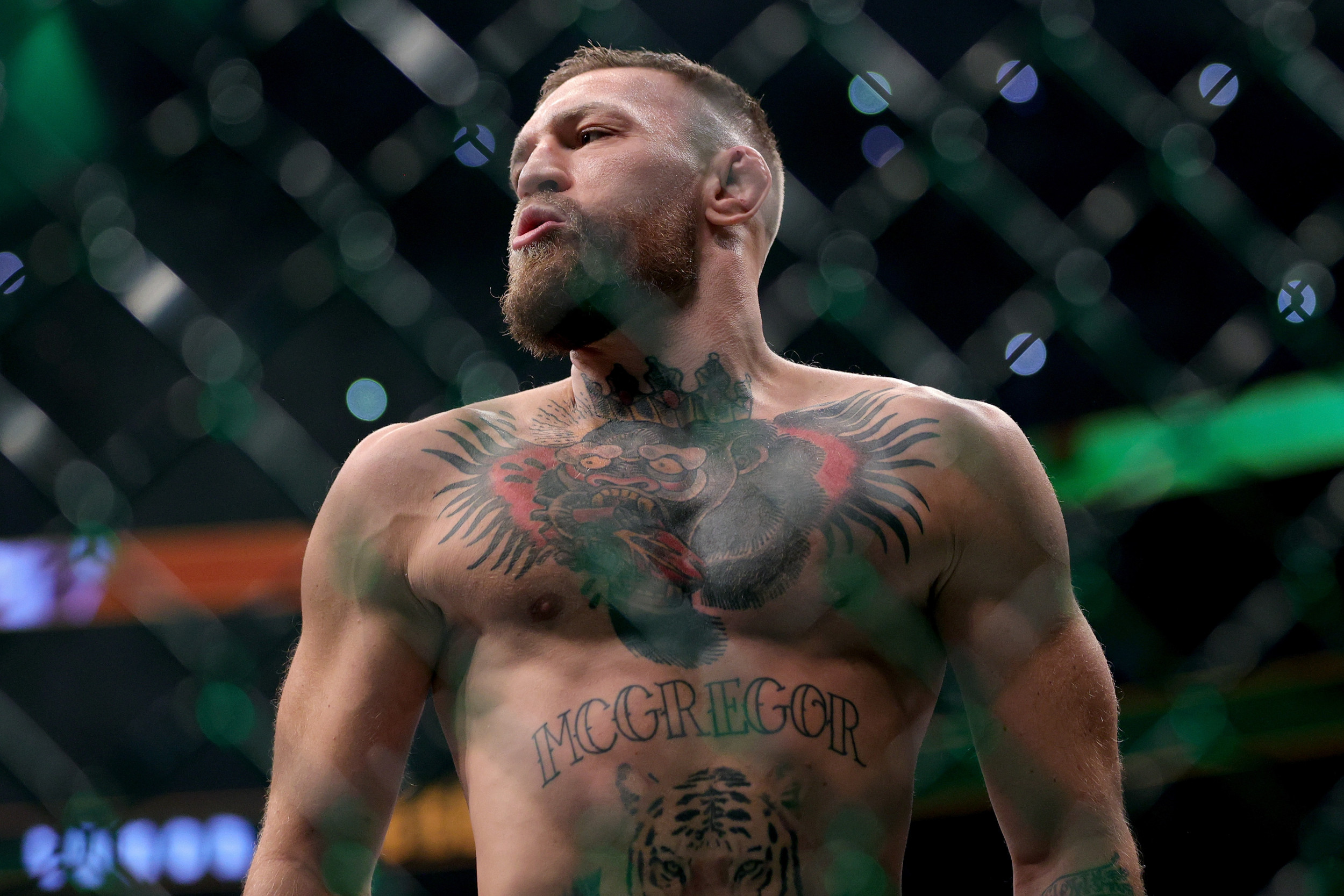 Conor McGregor Opens Up About Injury, Fight Postponement - Newsweek