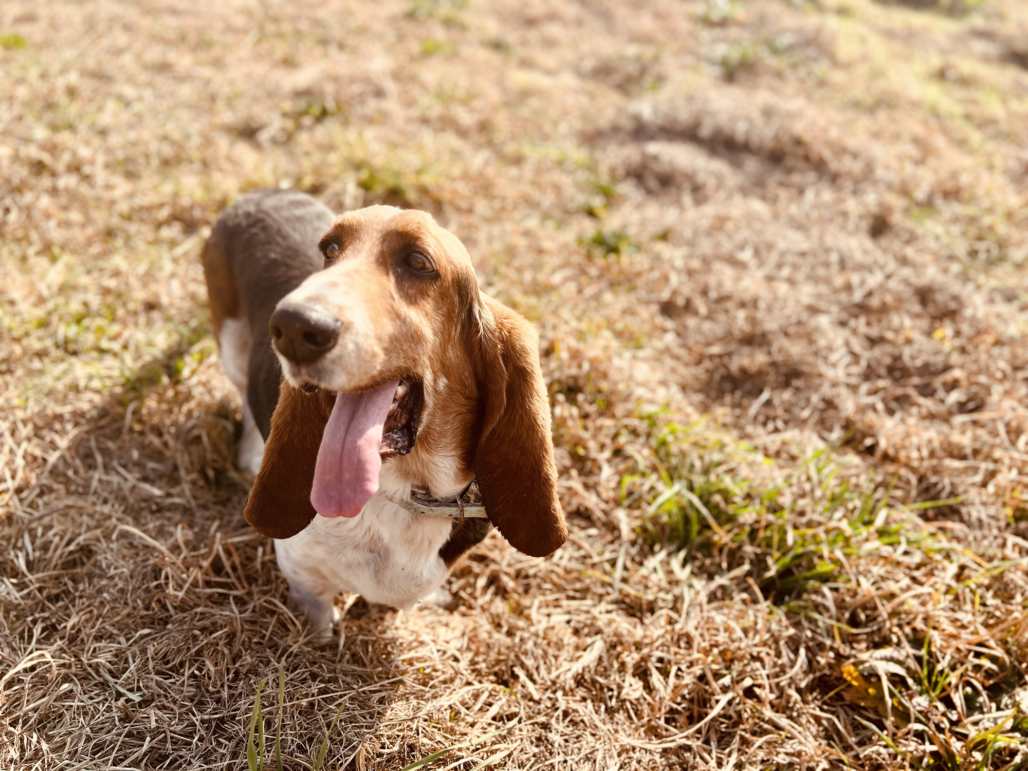Couple Move Into New House—Find Someone Waiting for Them Near Front ...
