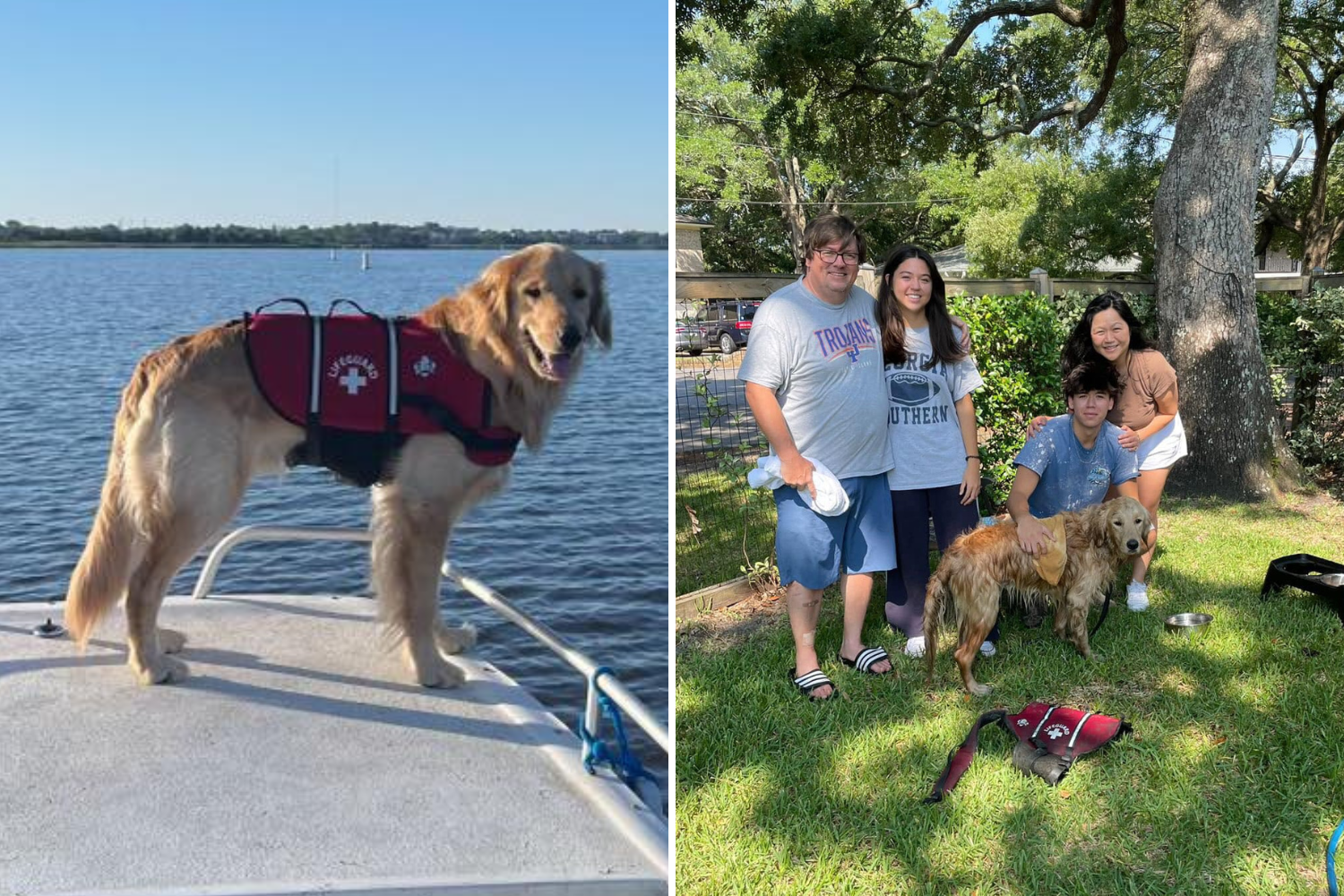 Dog Missing After Boat Accident Found Alive With His Life Vest On ...