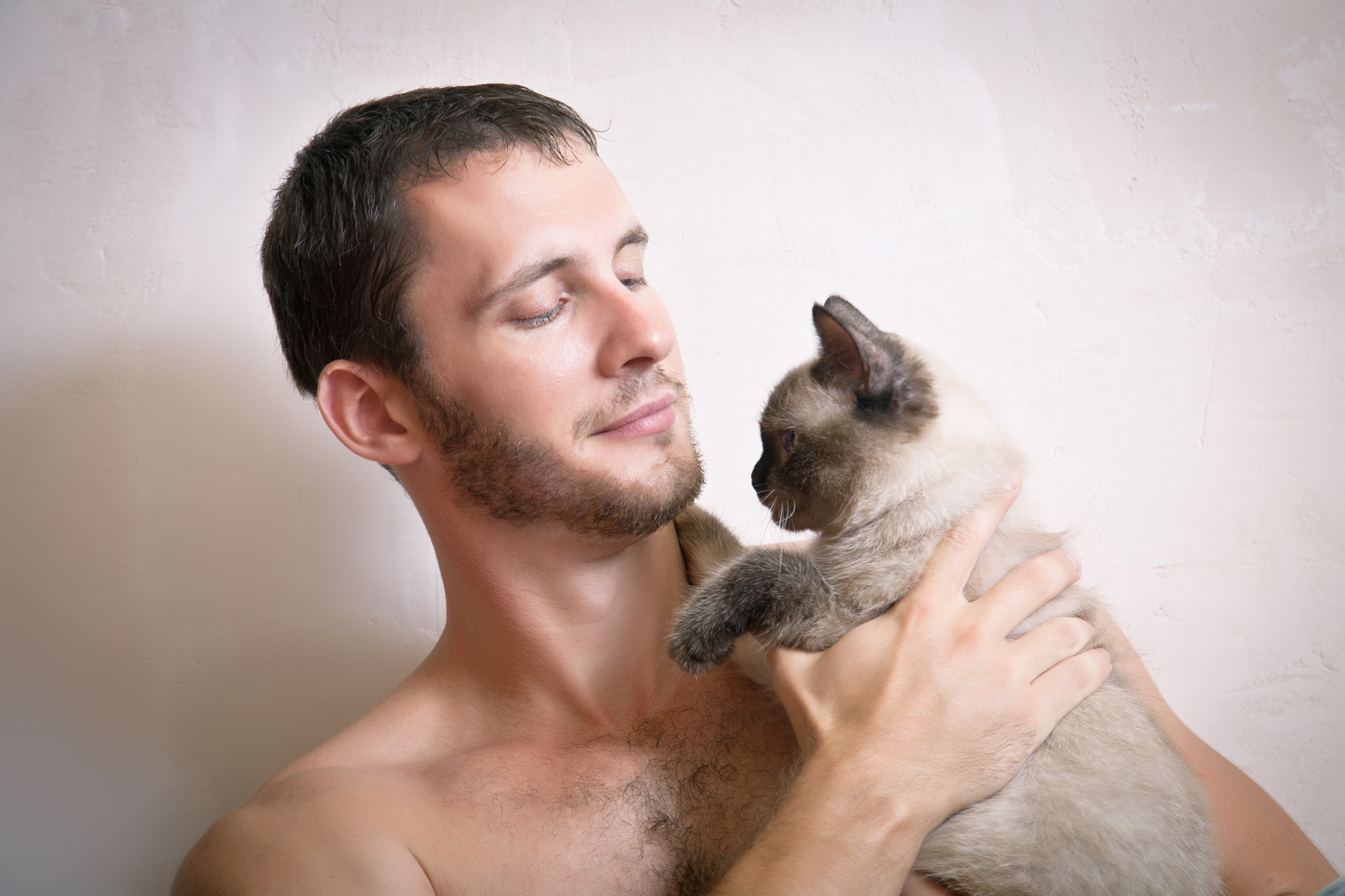 Hilarious Moment Cat Meets Owner's Boyfriend: 'Protective Queen' - Newsweek