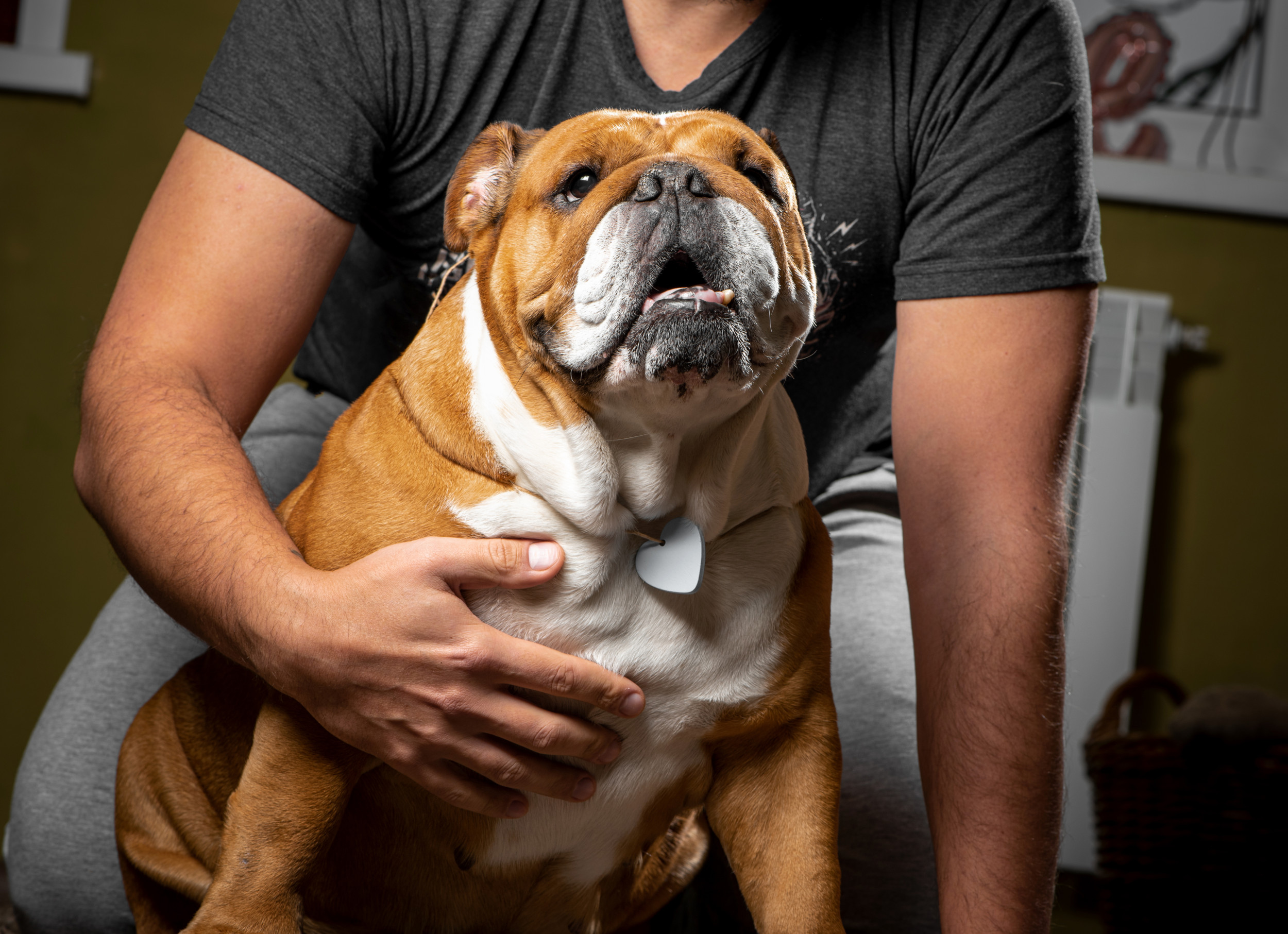 Hysterics As Dog Thinks He Is 'One Of The Guys' - Newsweek