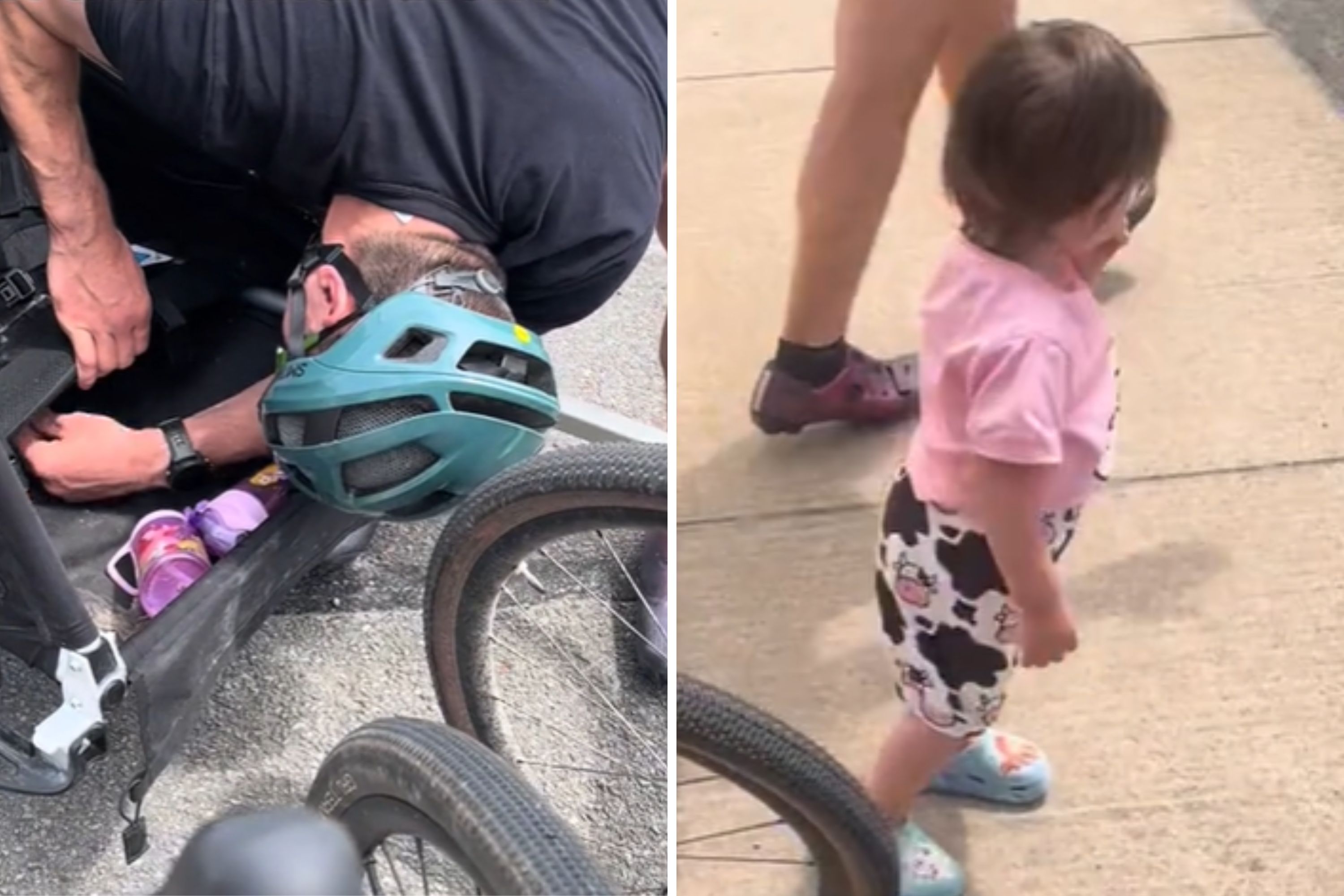 Kid Complains to Dad of 'Big Bug'—Not Prepared for What It Turns Out to ...