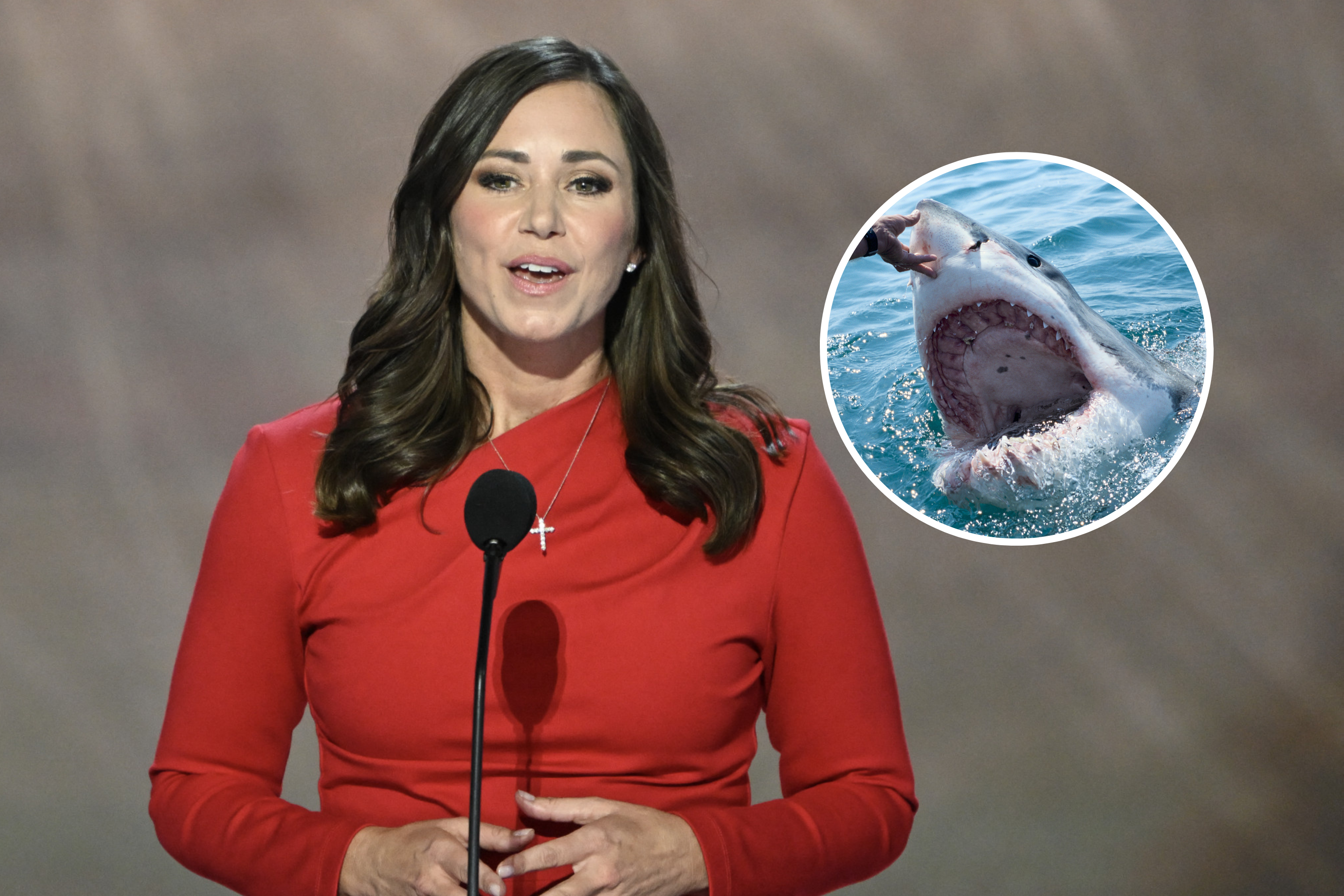 Trump Ally Proposes AMBER Alert-Like System for Shark Attacks - Newsweek