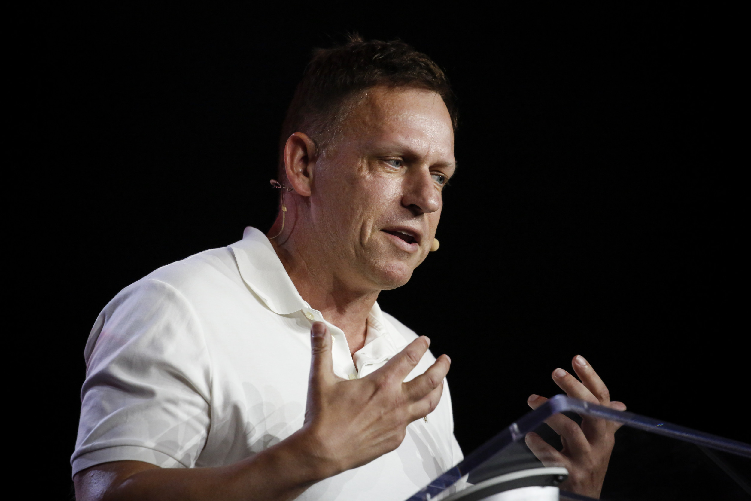 Peter Thiel's Pre-Nazi Germany Comparison to US Resurfaces - Newsweek