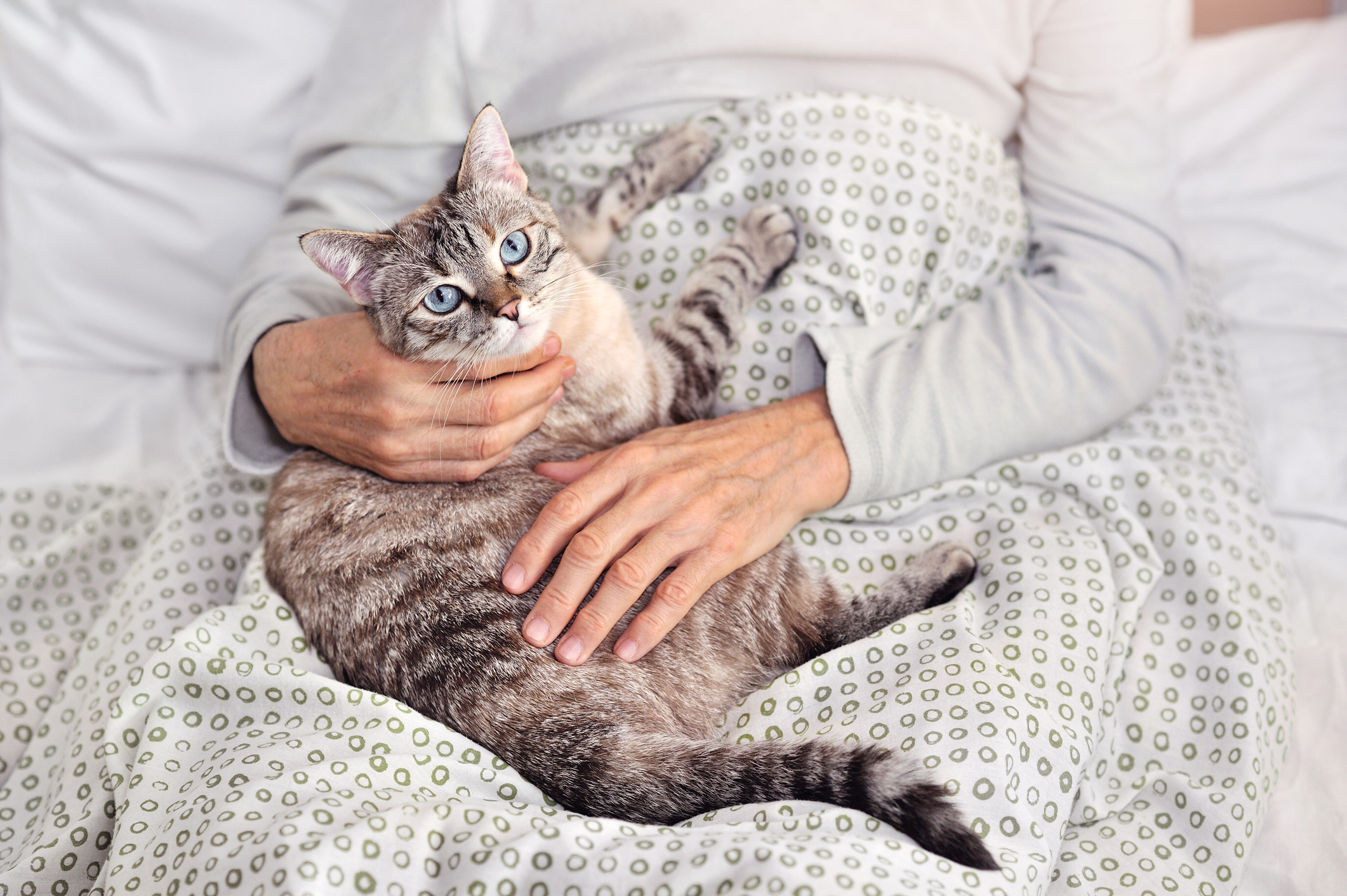 Tears at Cat's Adorable Way of Comforting Owner on Her Period - Newsweek