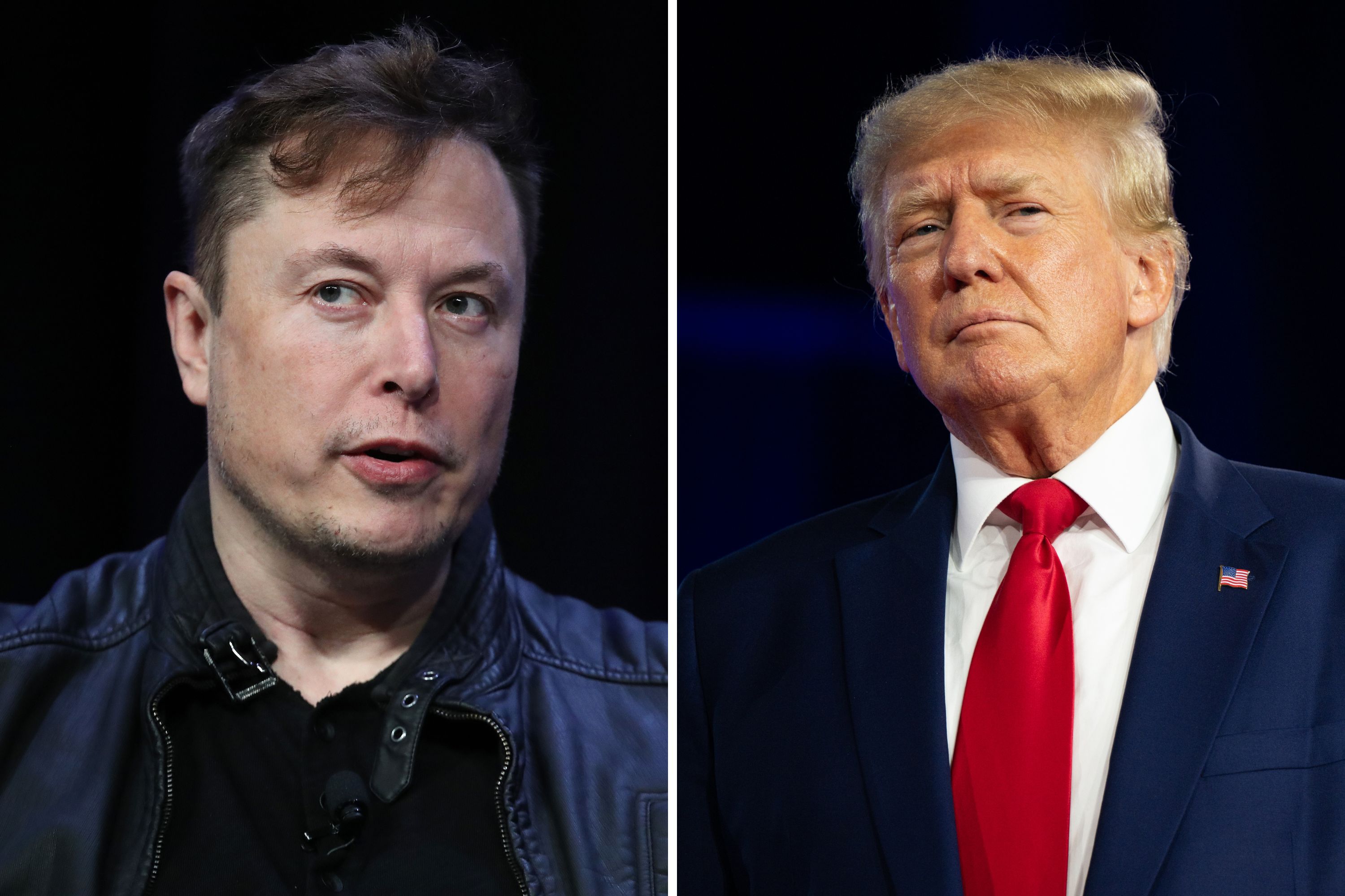 What is a DDoS Attack? Elon Musk Claims Cyberattack Delayed Trump ...