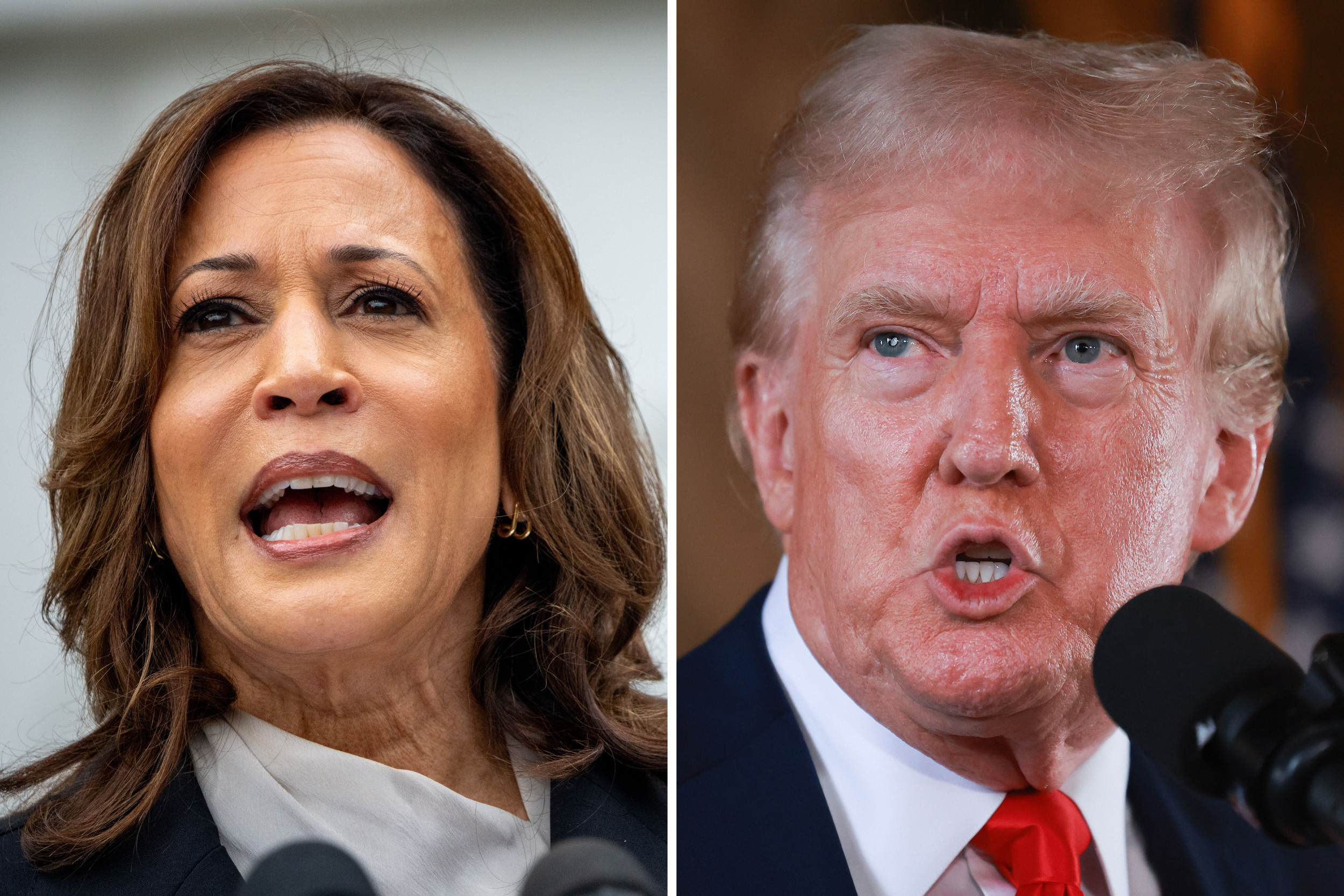 Kamala Harris Erodes Confidence in Donald Trump to Win Election - Newsweek