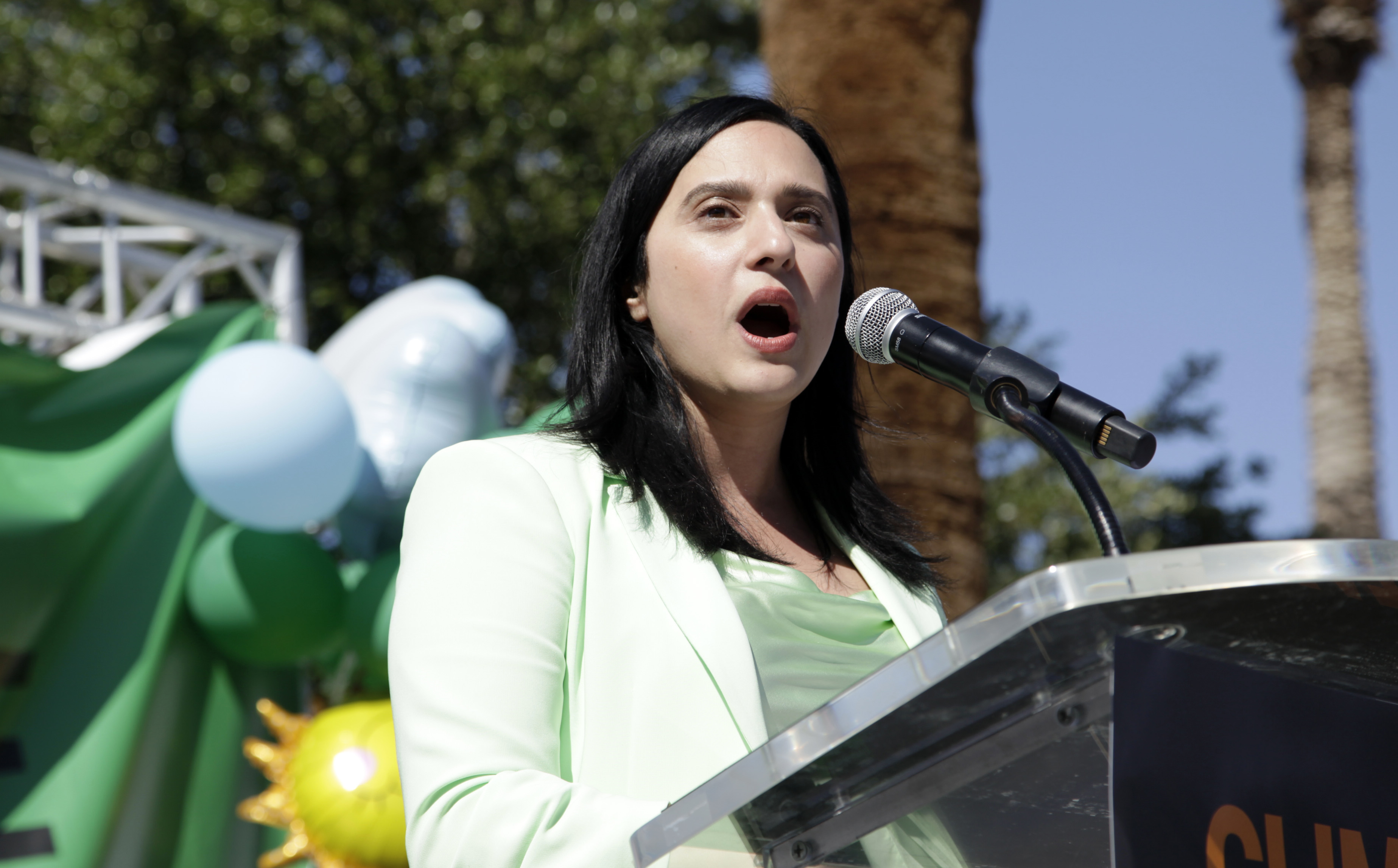 Yassamin Ansari Wins Democratic Primary Recount in Arizona - Newsweek