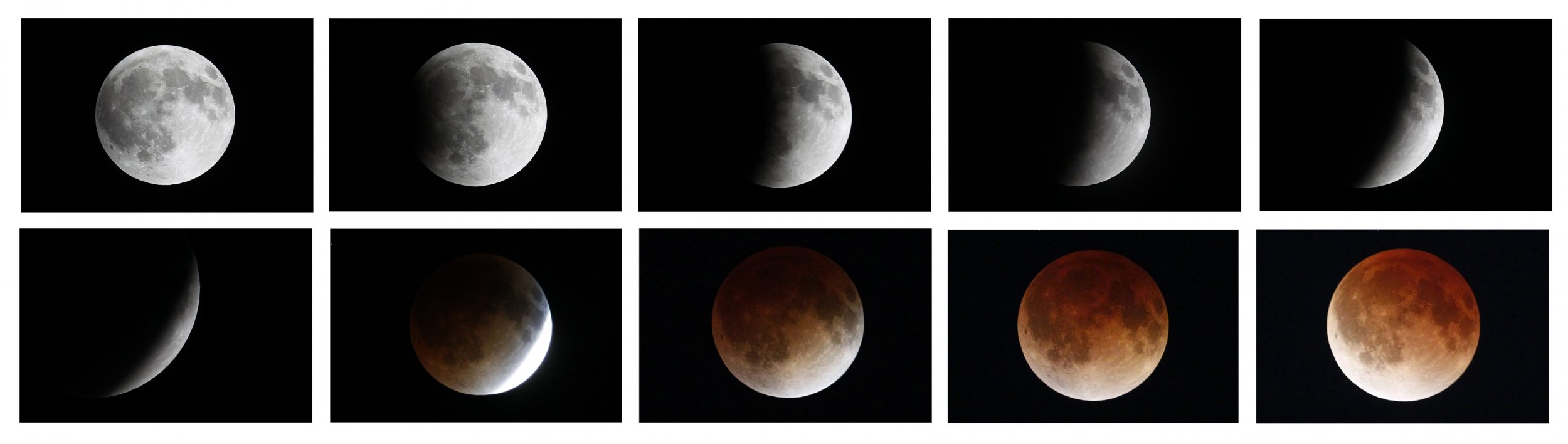 Today in Tabs: Heartblood Moon - Newsweek