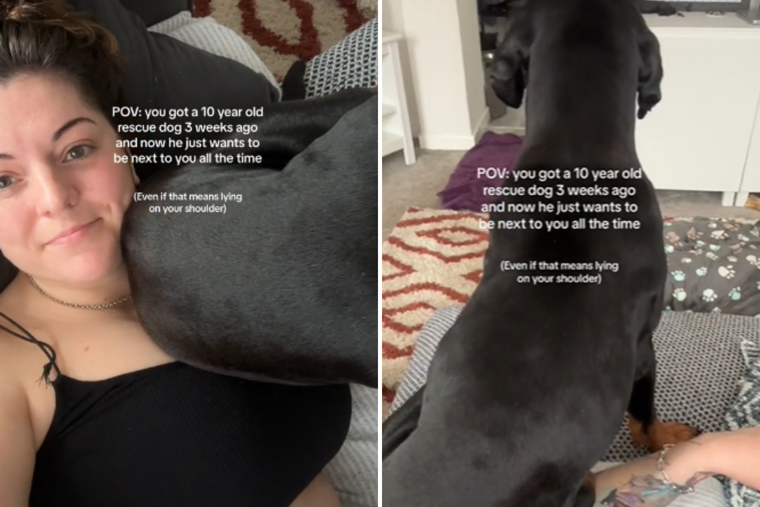 Woman Adopts Senior Rescue Dog, Now He Stays Glued to Her 24/7 - Newsweek