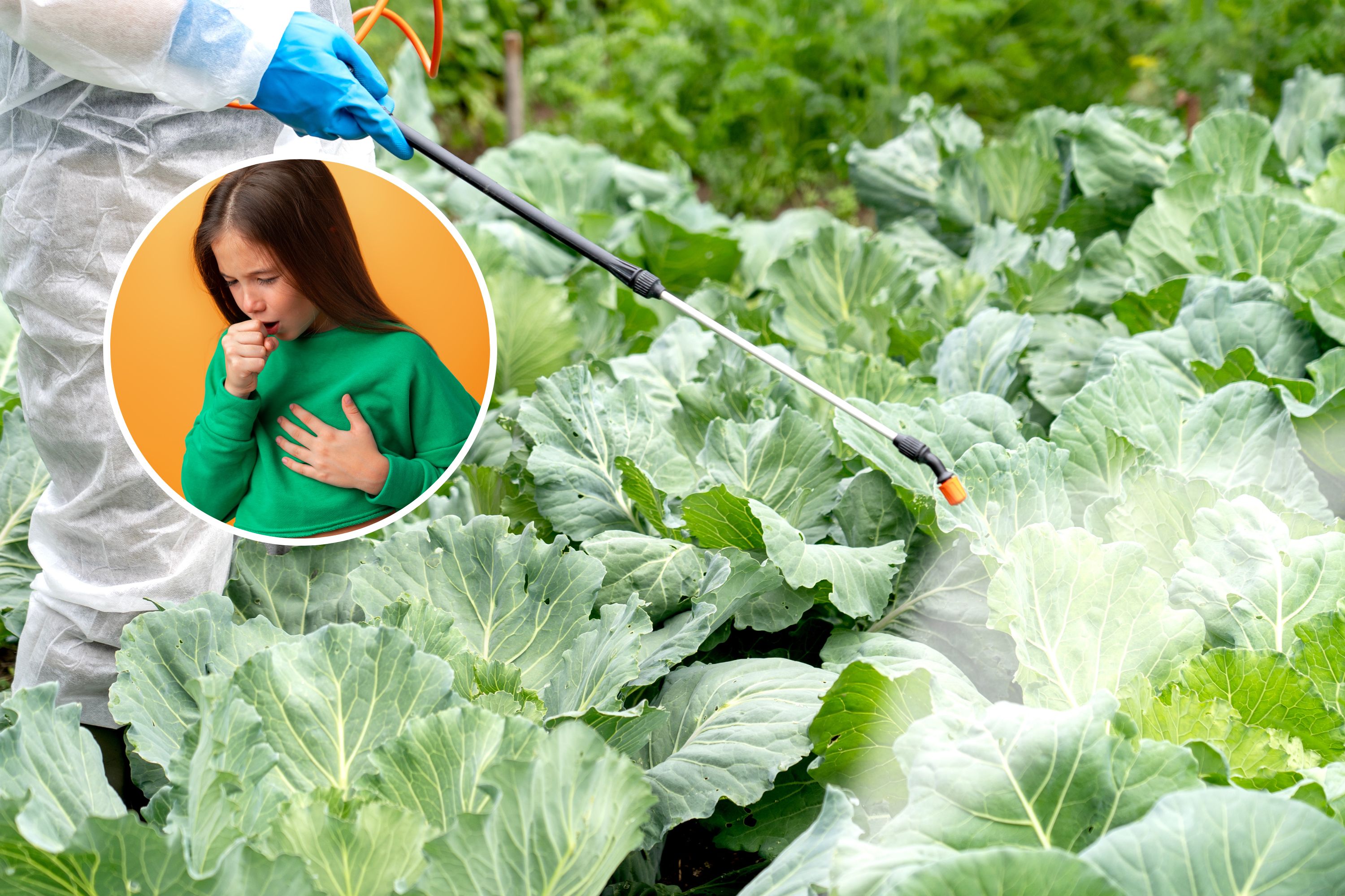 California: 1 in 10 Kids May Be Breathing Pesticides in San Joaquin ...