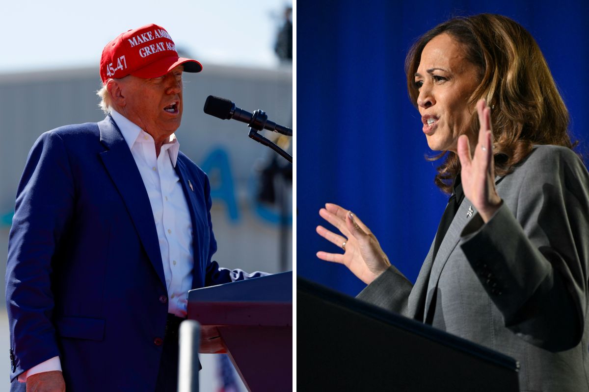 Kamala Harris Sees Historic Surge in Popularity—New Poll - Newsweek Kamala Harris Sees Historic Surge in Popularity—New Poll - Newsweek