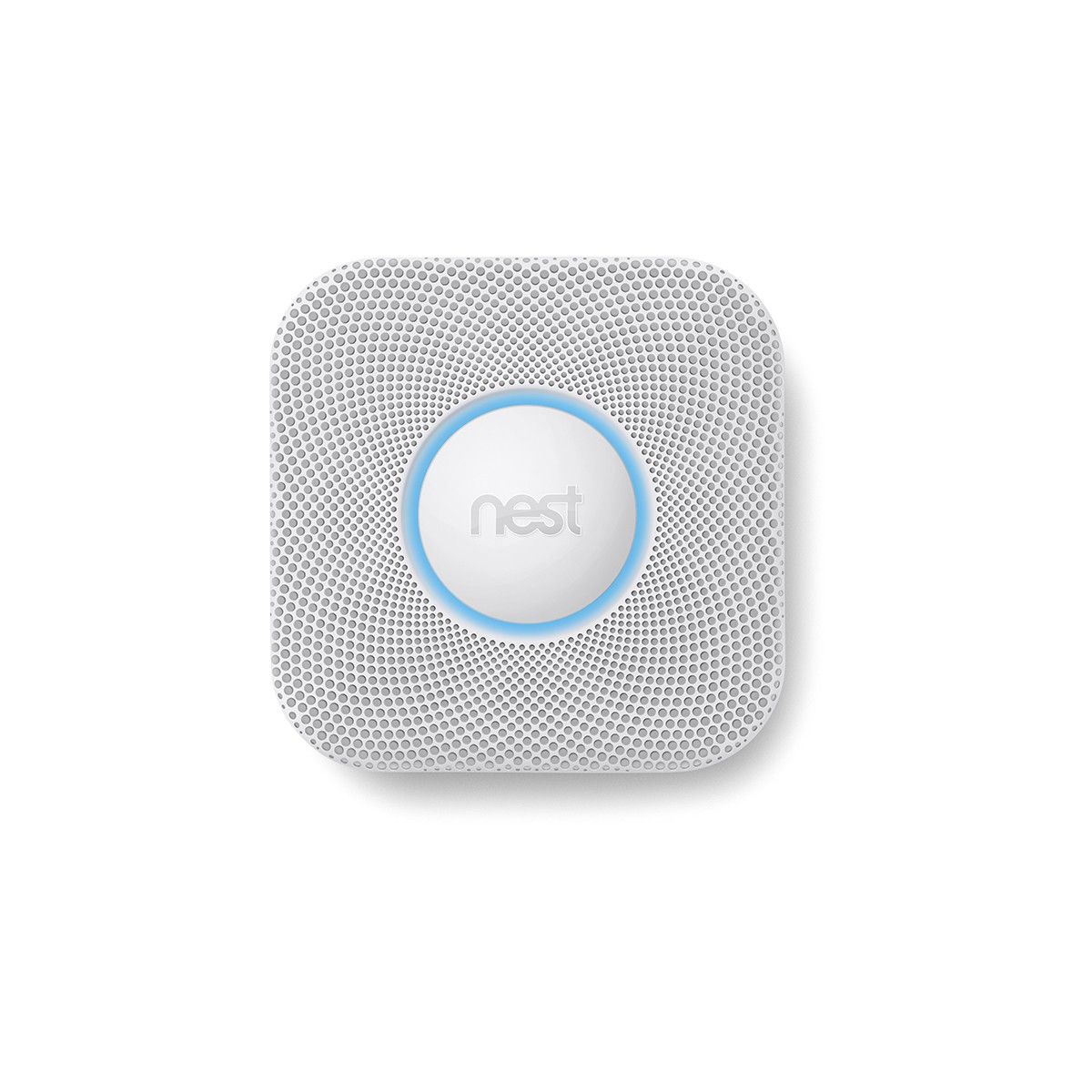 That Nesting Instinct - Newsweek