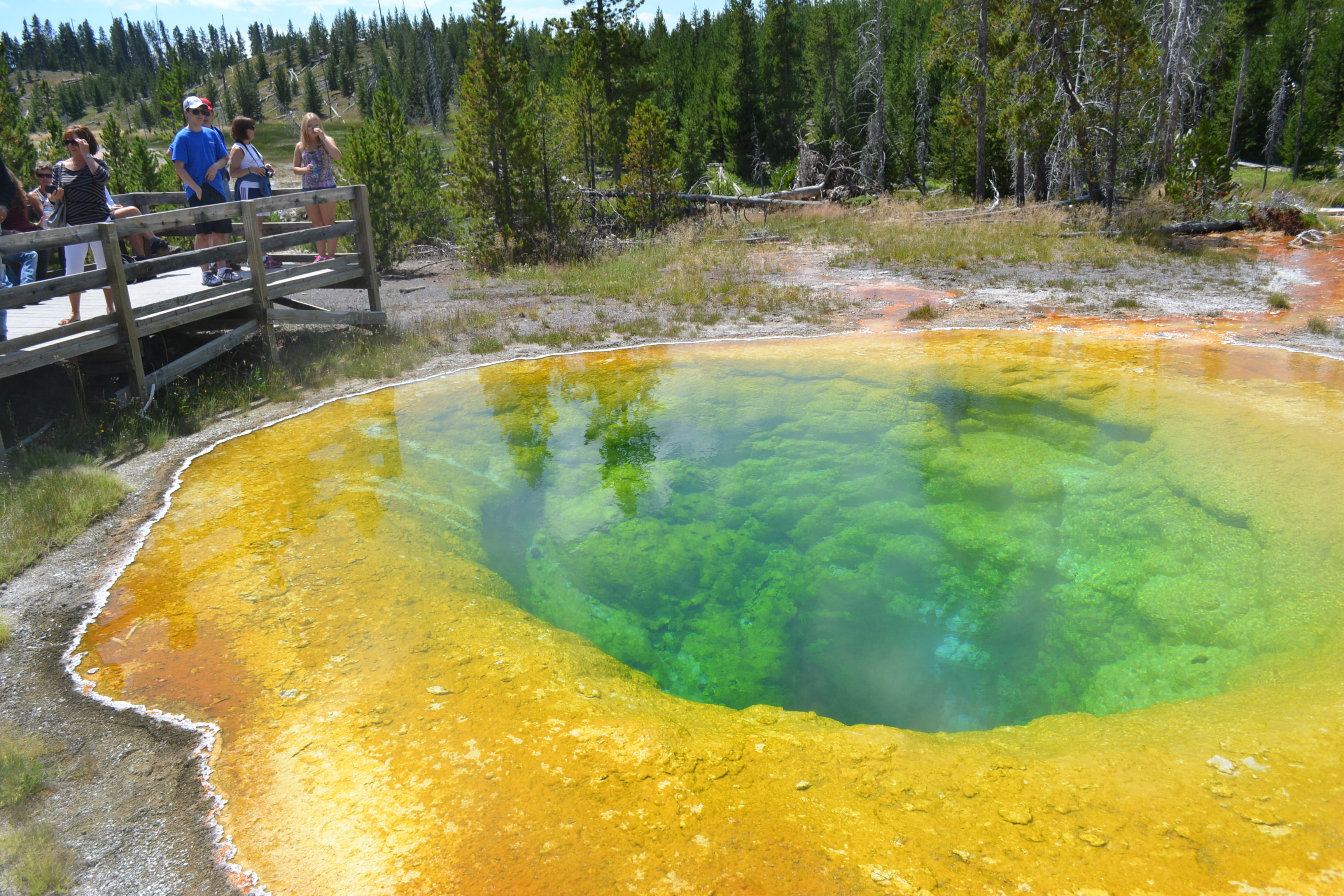Morning Glory Pool Yellowstone National Park