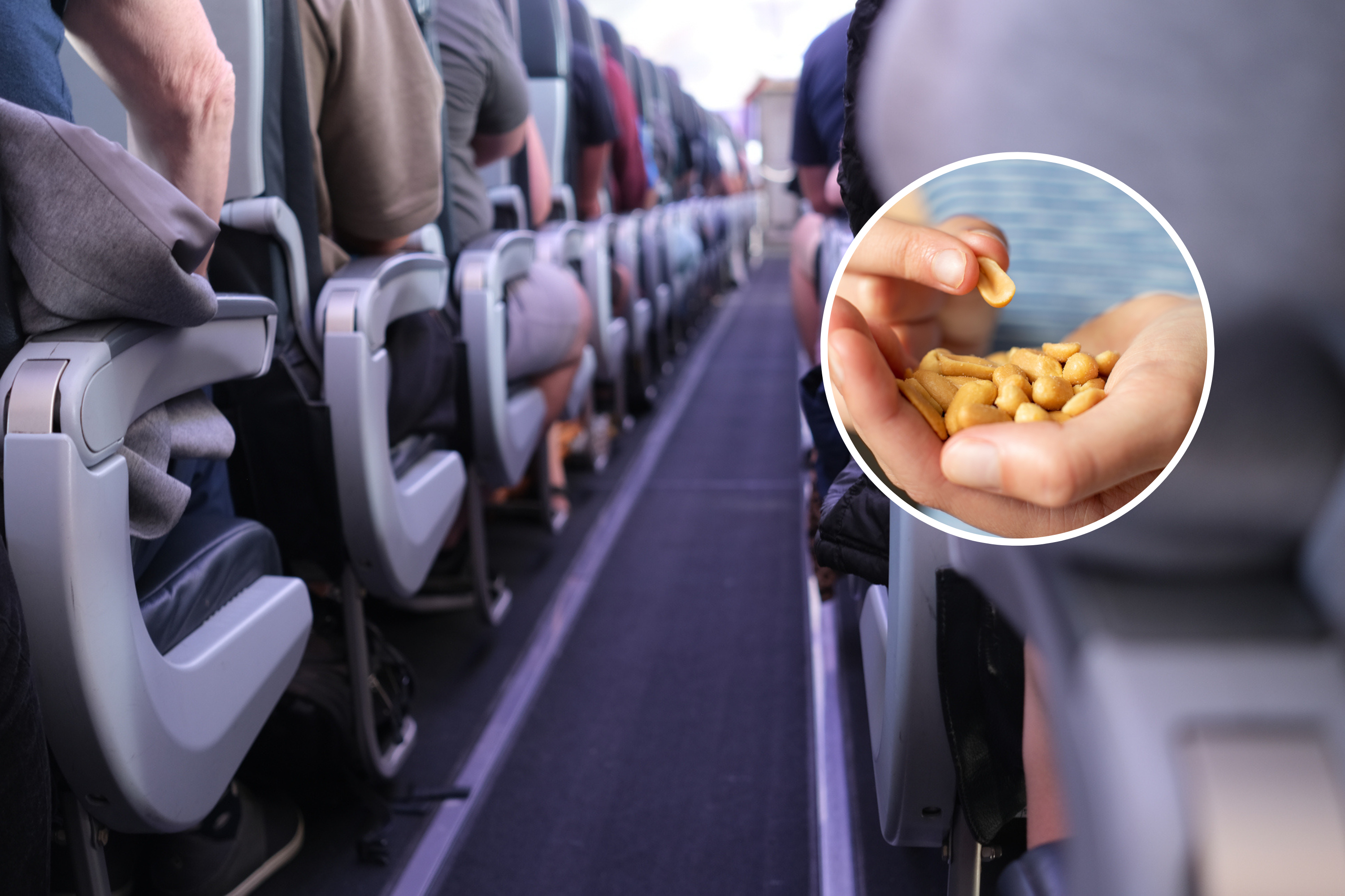 American Airlines To Allow Travelers With Nut Allergies To
