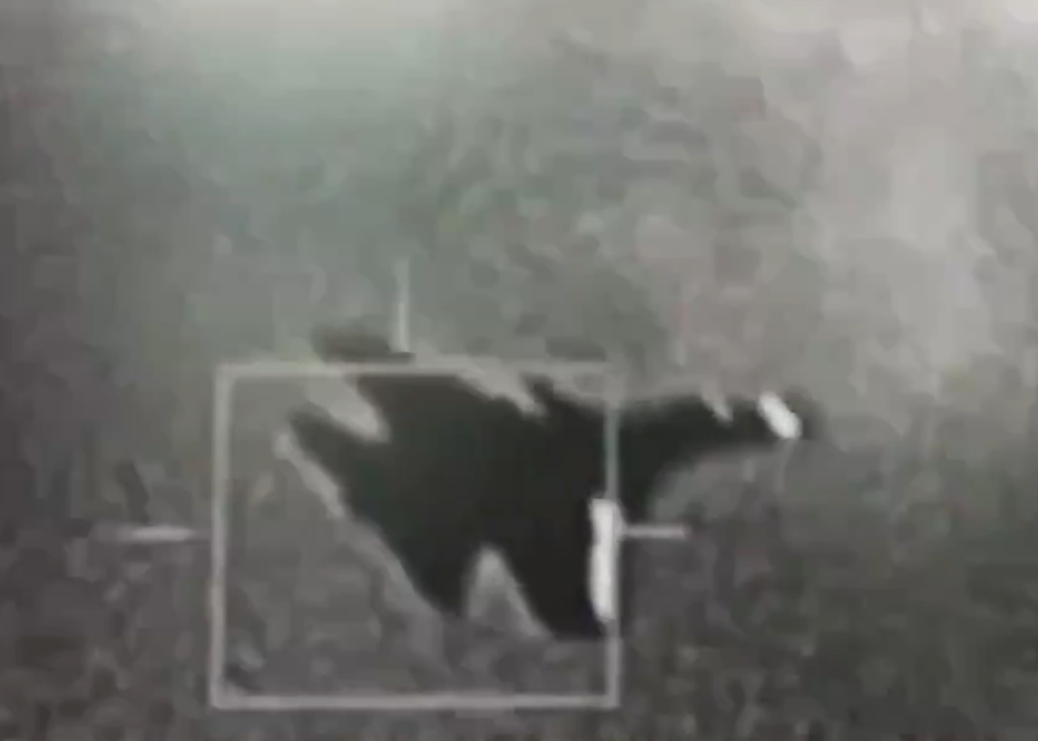 Video Shows F-16 'Sniper' Targeting Pod Locking On to Chinese Jets ...