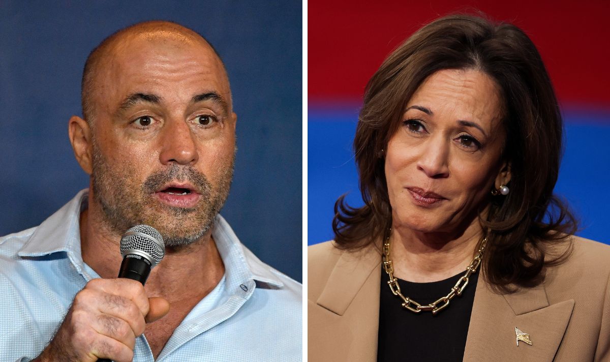 Everything Joe Rogan Has Said About Kamala Harris - Newsweek