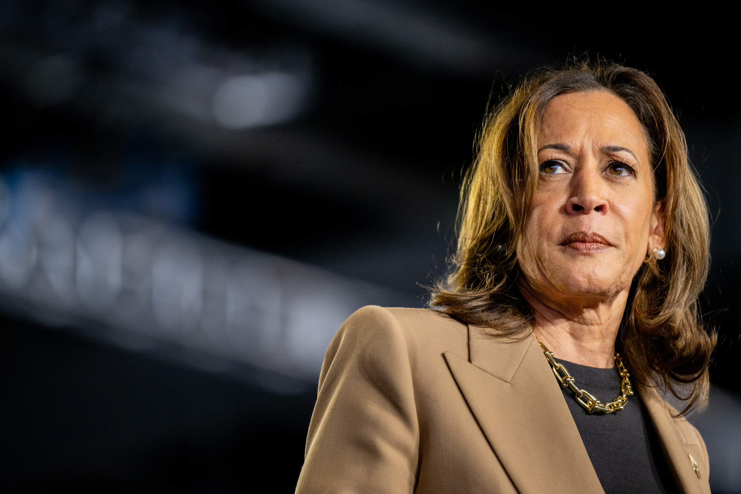Kamala Harris Gets Good News from Sleeper Coalition in New Poll - Newsweek