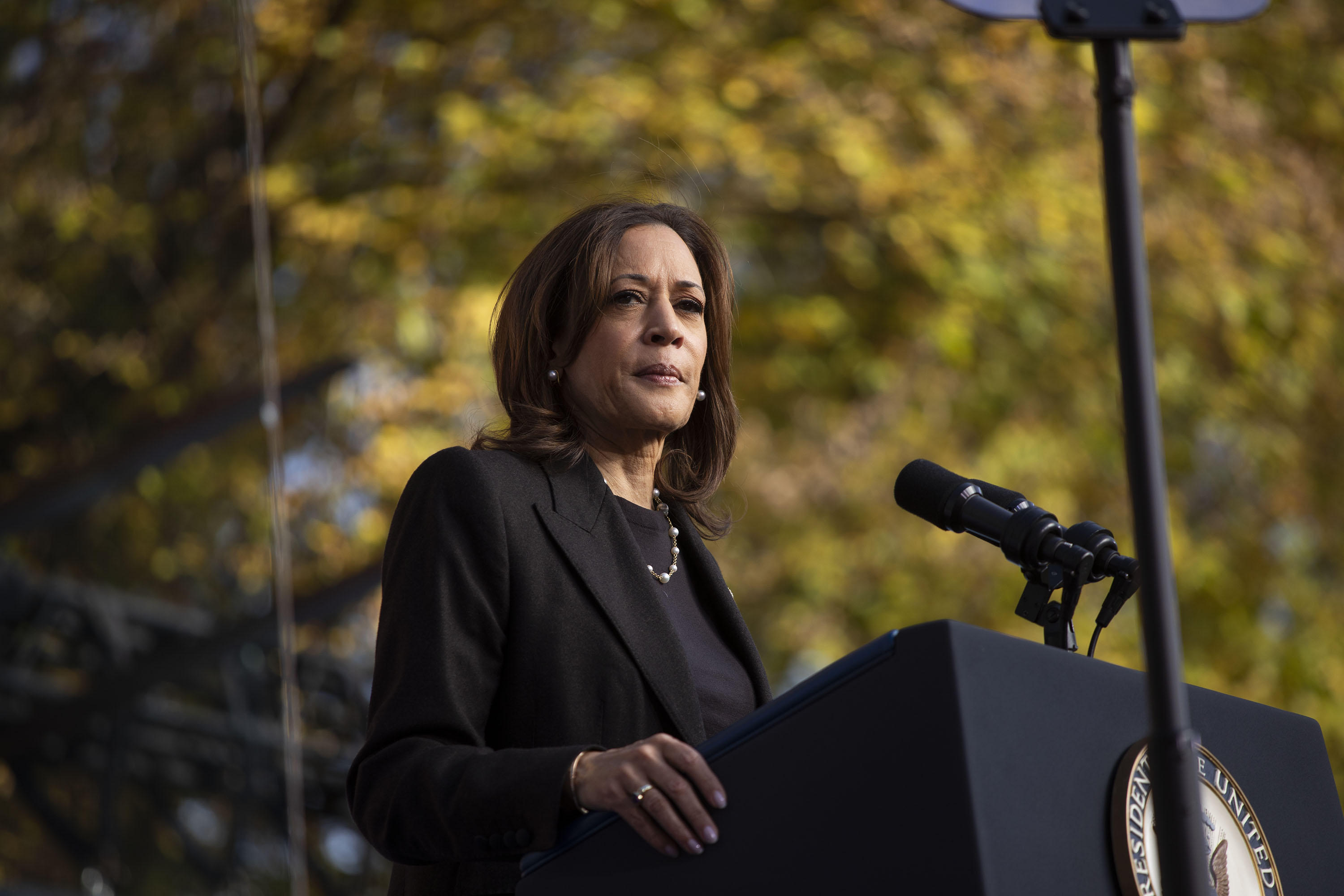 Can The Quiet Kamala Harris Voter Carry Her Across the Finish Line ...