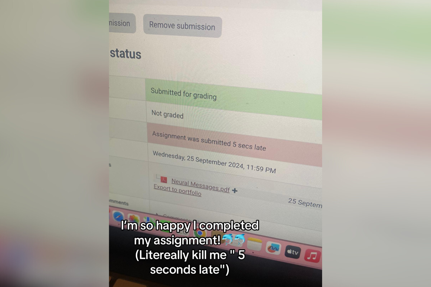 Student in Shock Over Reason Assignment Wasn't Graded: 'Has To Be Joke ...