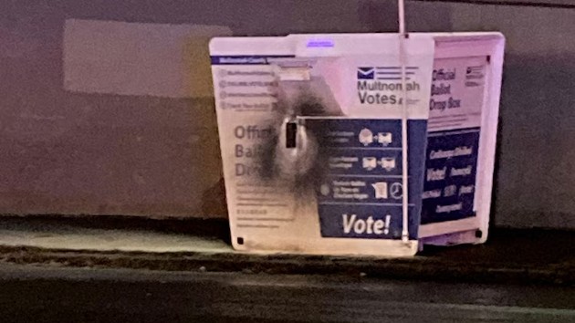 More Than Half Active Voters in Key Battleground State Have Already ...