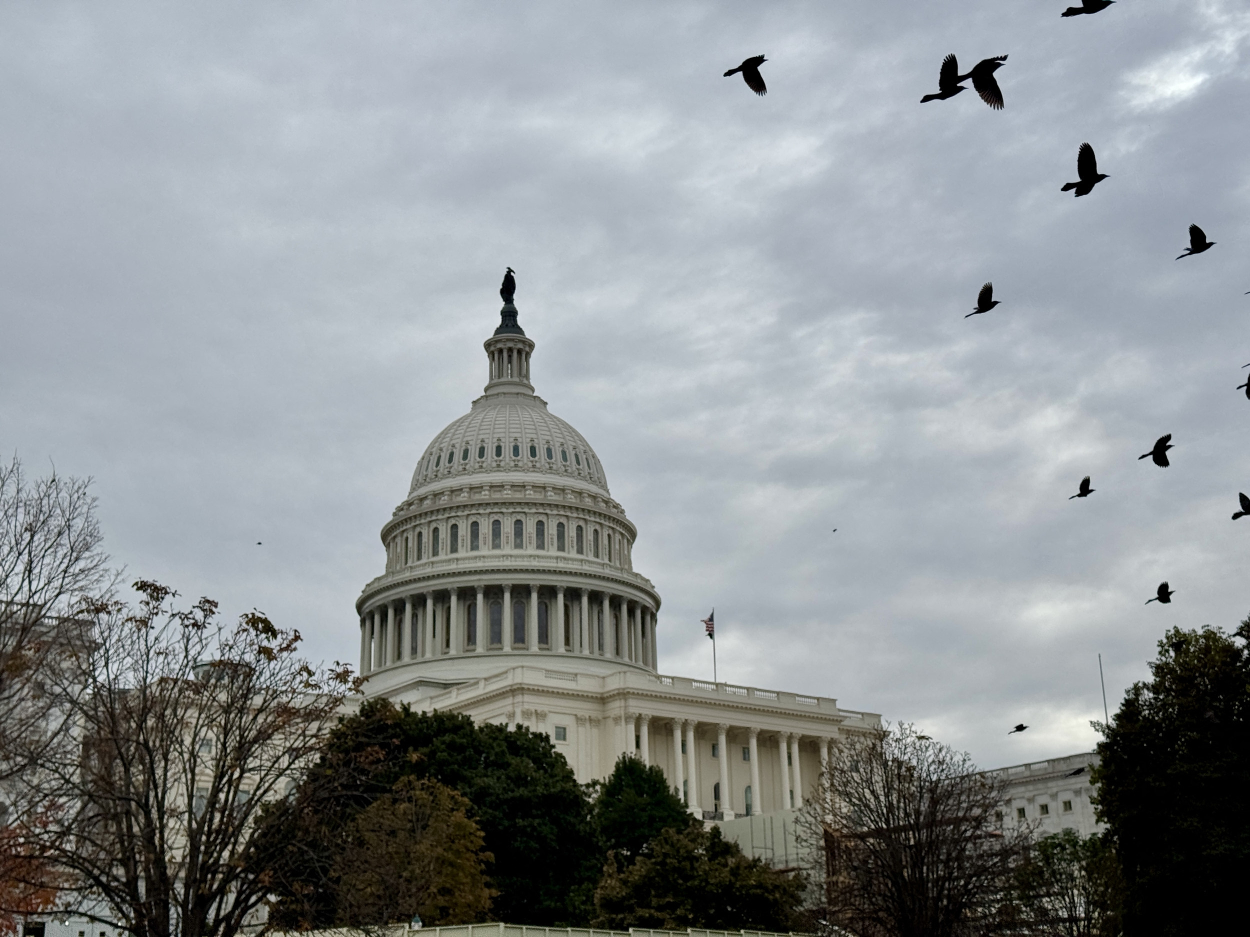 When to Expect House to Be Called With Key Races Still Up for Grabs ...