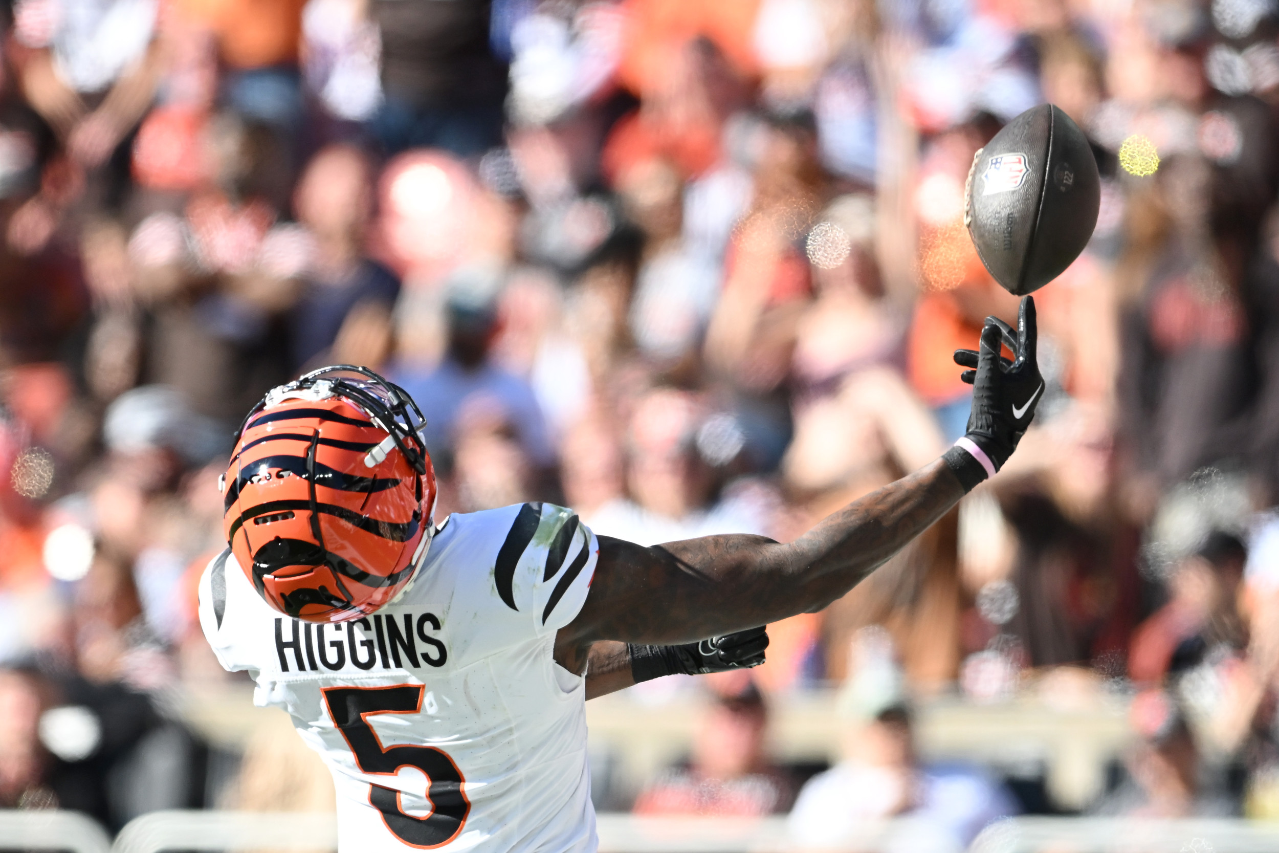 Bengals HC Reveals if Tee Higgins Will Play in Week 11 - Newsweek