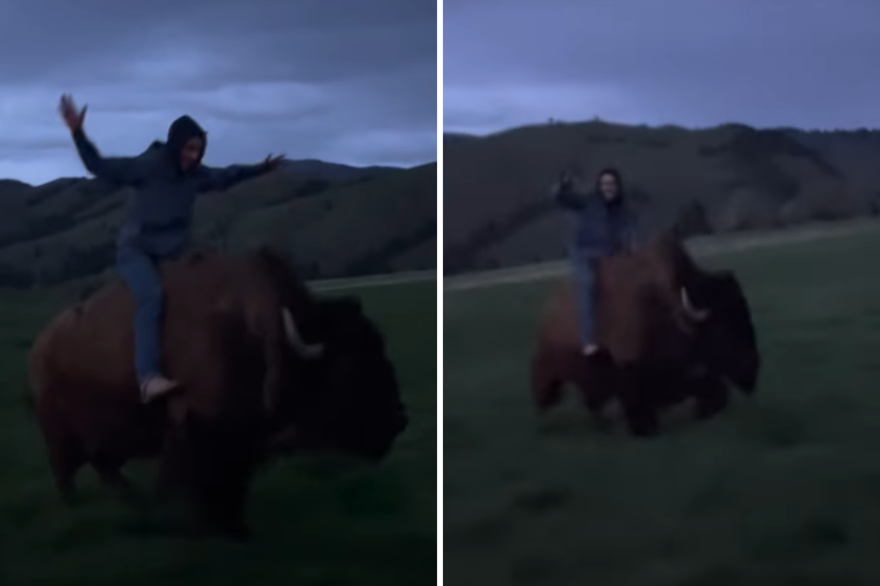 Riding Bison