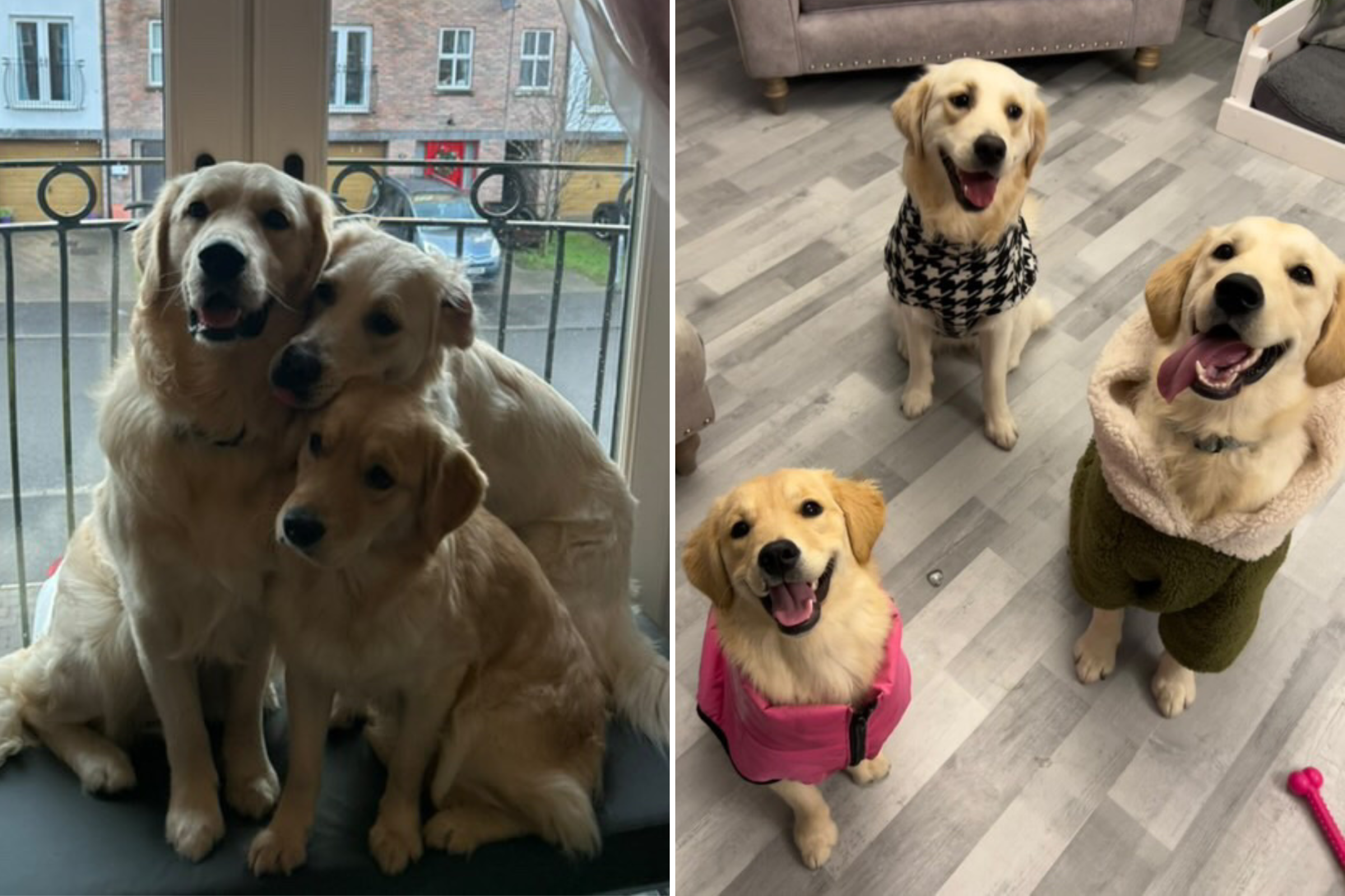 'Heartbroken' Woman Explains How She Ended Up With Three Golden ...